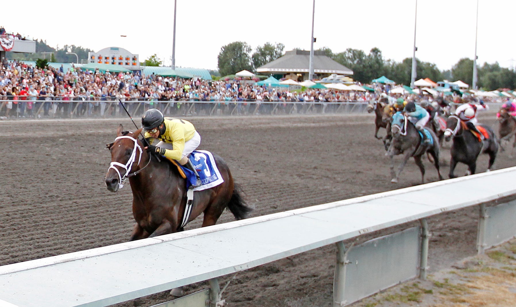 California Flag rebound spot for Gold Rush Dancer