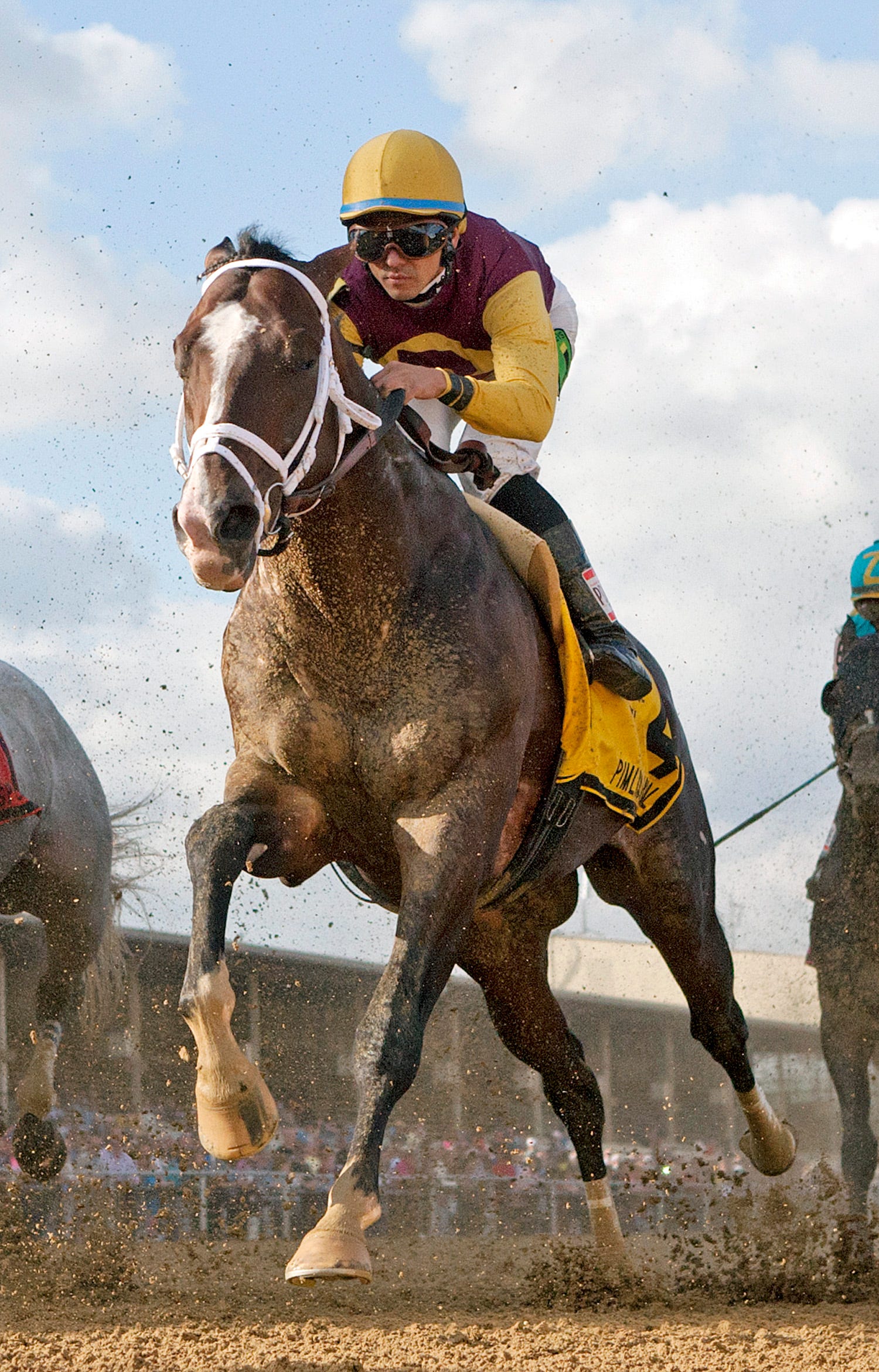 Golden Lad targets Hal's Hope for comeback