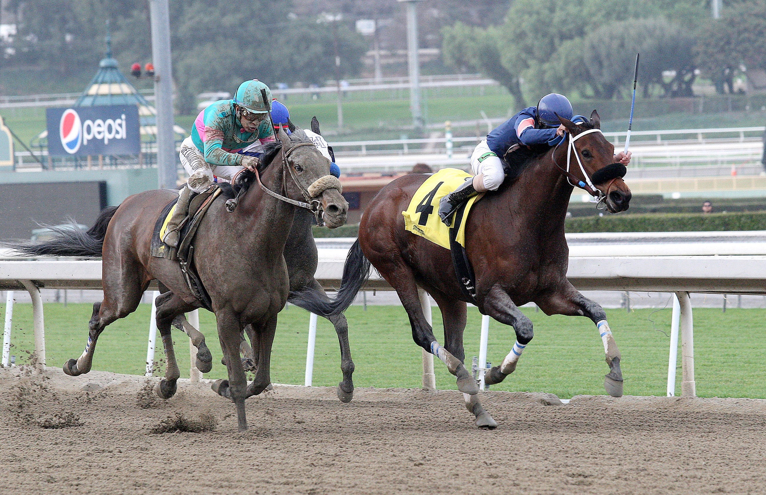 Golden Production ships across country for Foxy J.G. Stakes