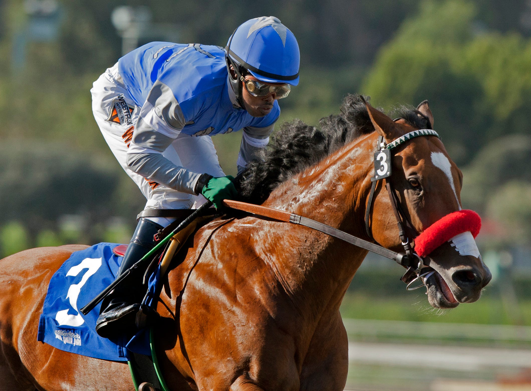 Brad Free: 'Positive expectation' sweet words to bettors' ears