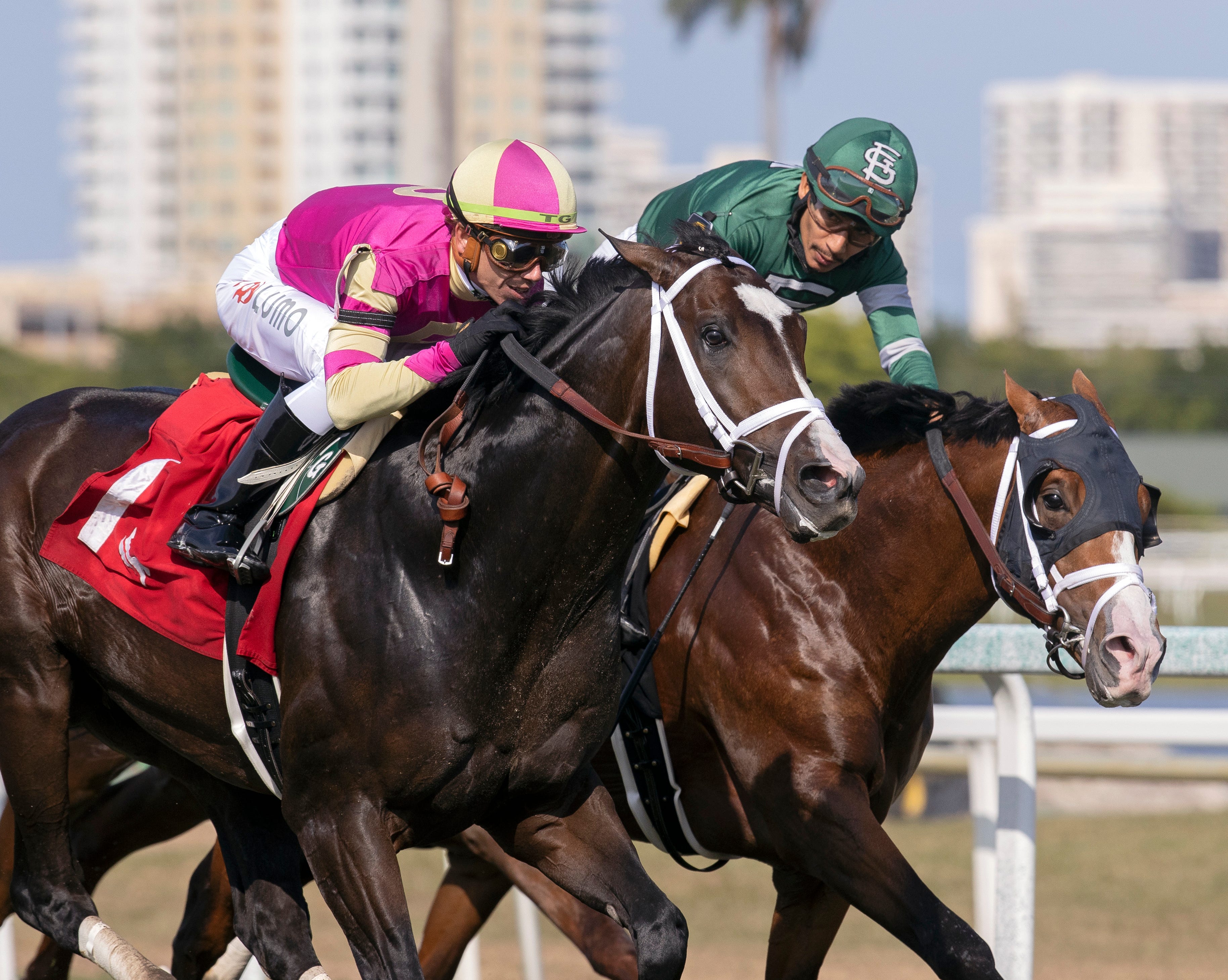 Grand Sonata, Opalina rally to win turf stakes