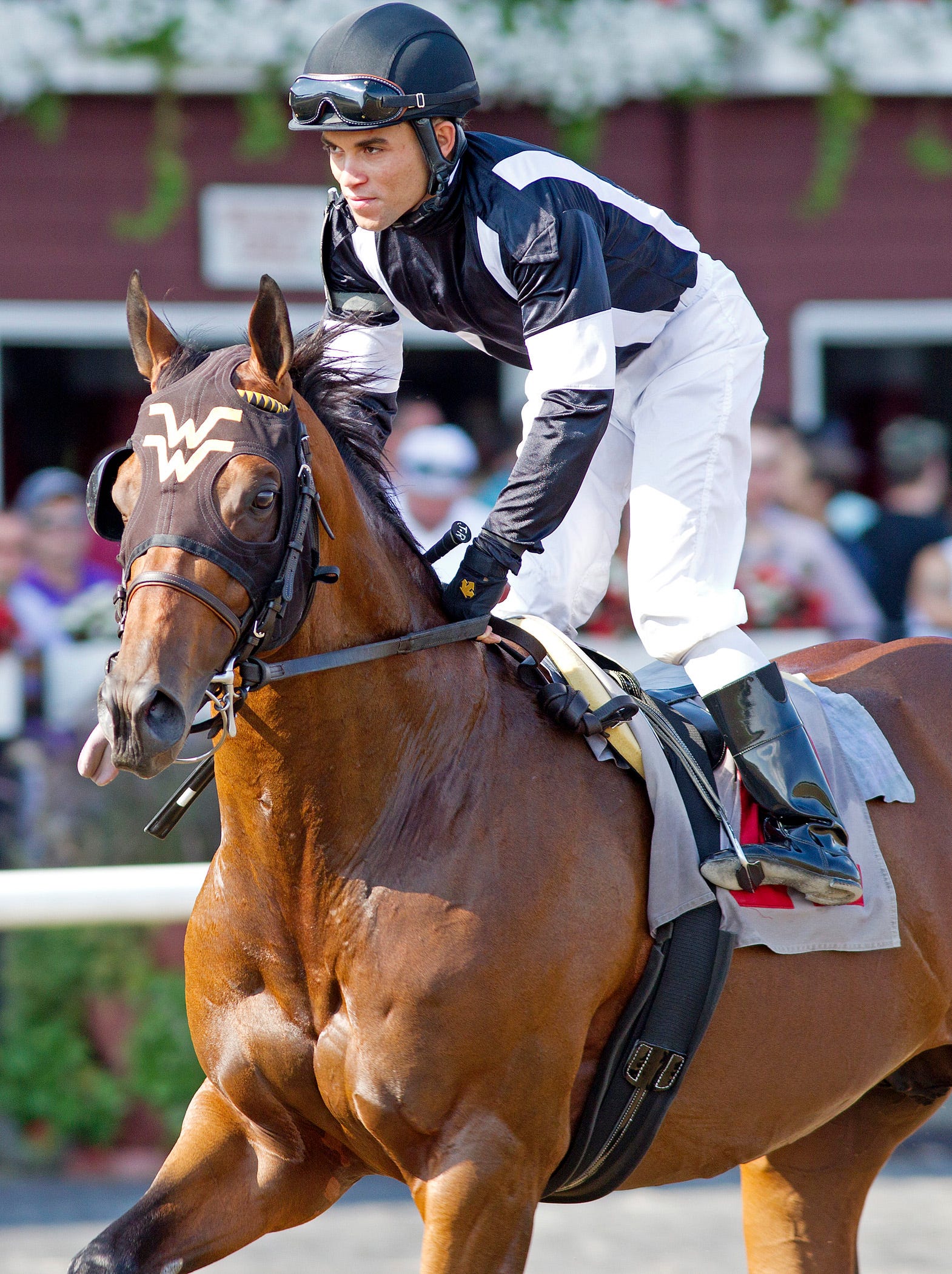 Great Attack brings back class to Tony Gatto Dream Big Stakes