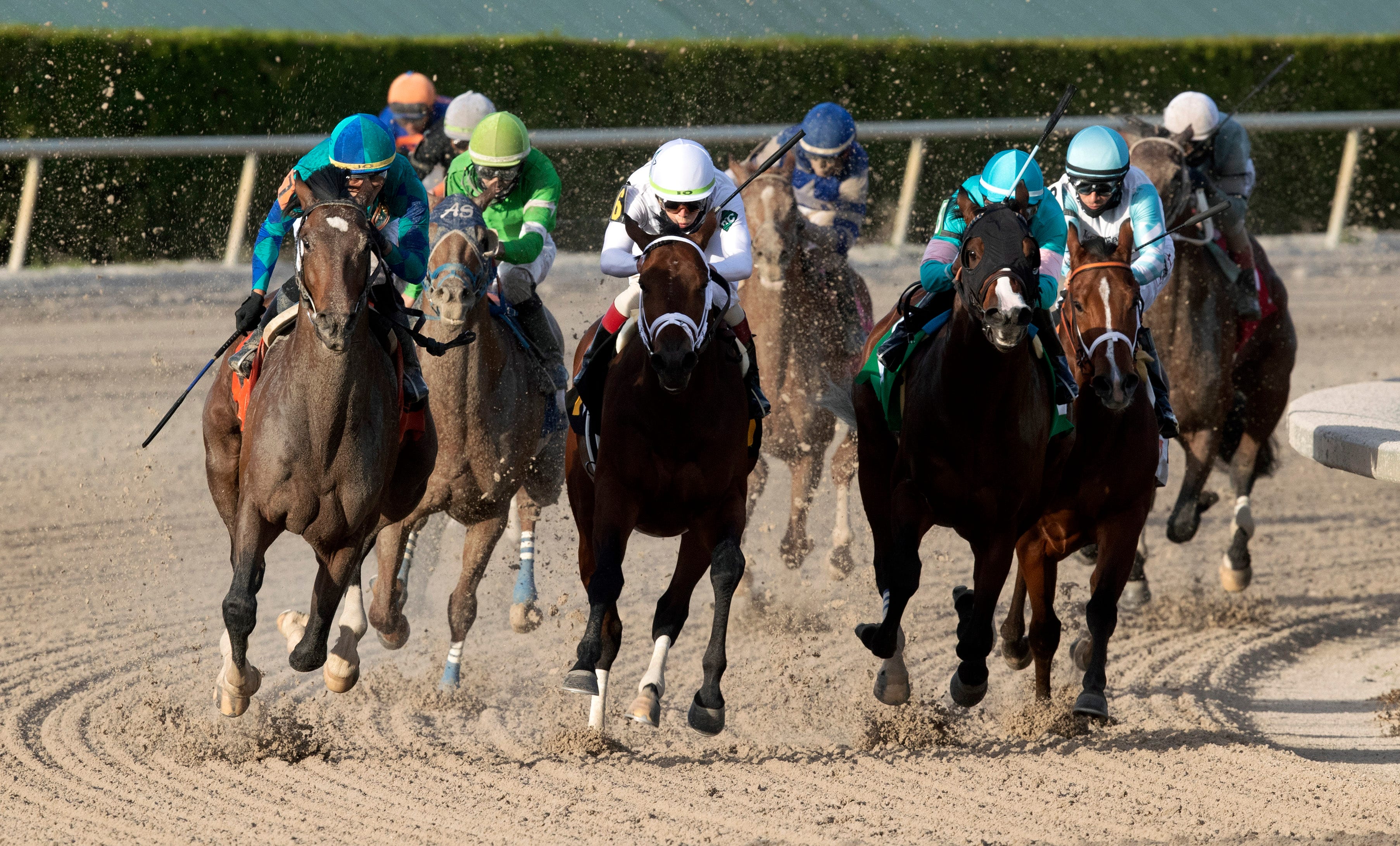 Road to the 2021 Kentucky Derby: Holy Bull Stakes analysis