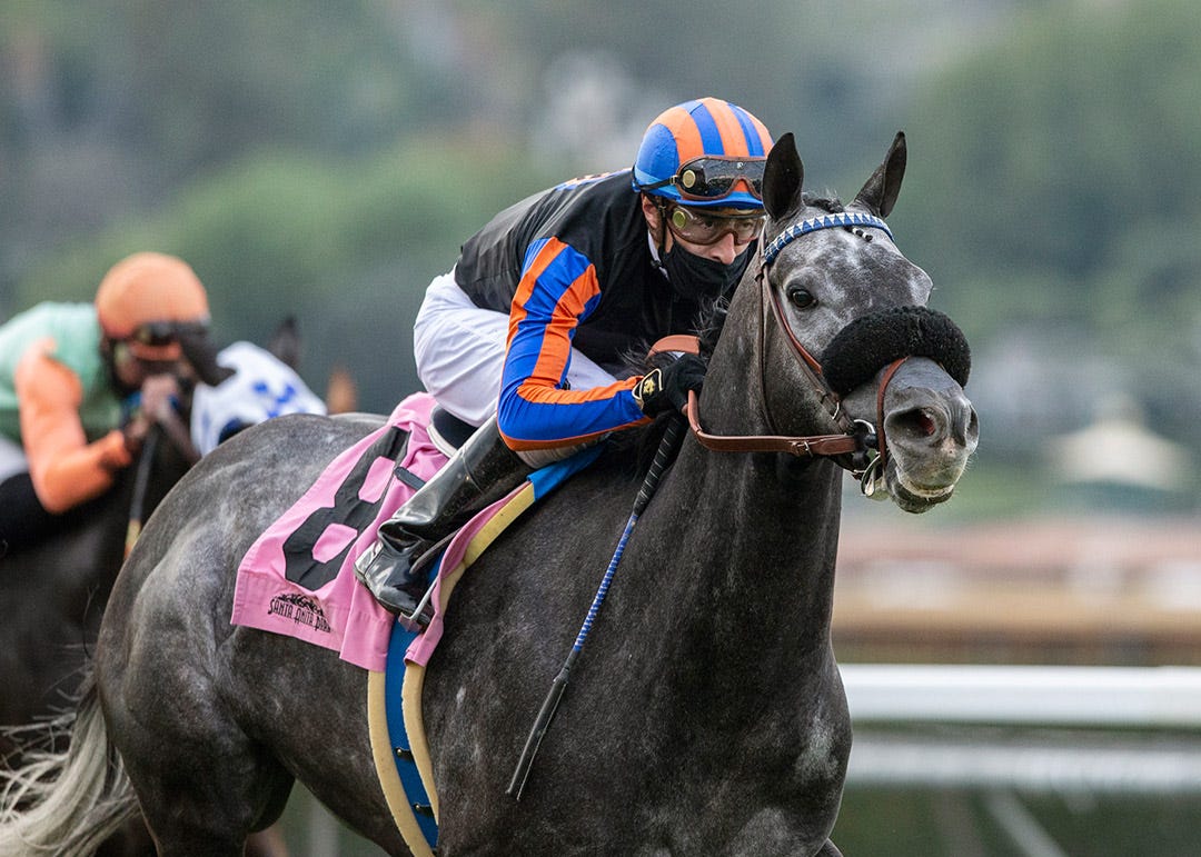 Gregorian Chant ready for start in Eddie D Stakes