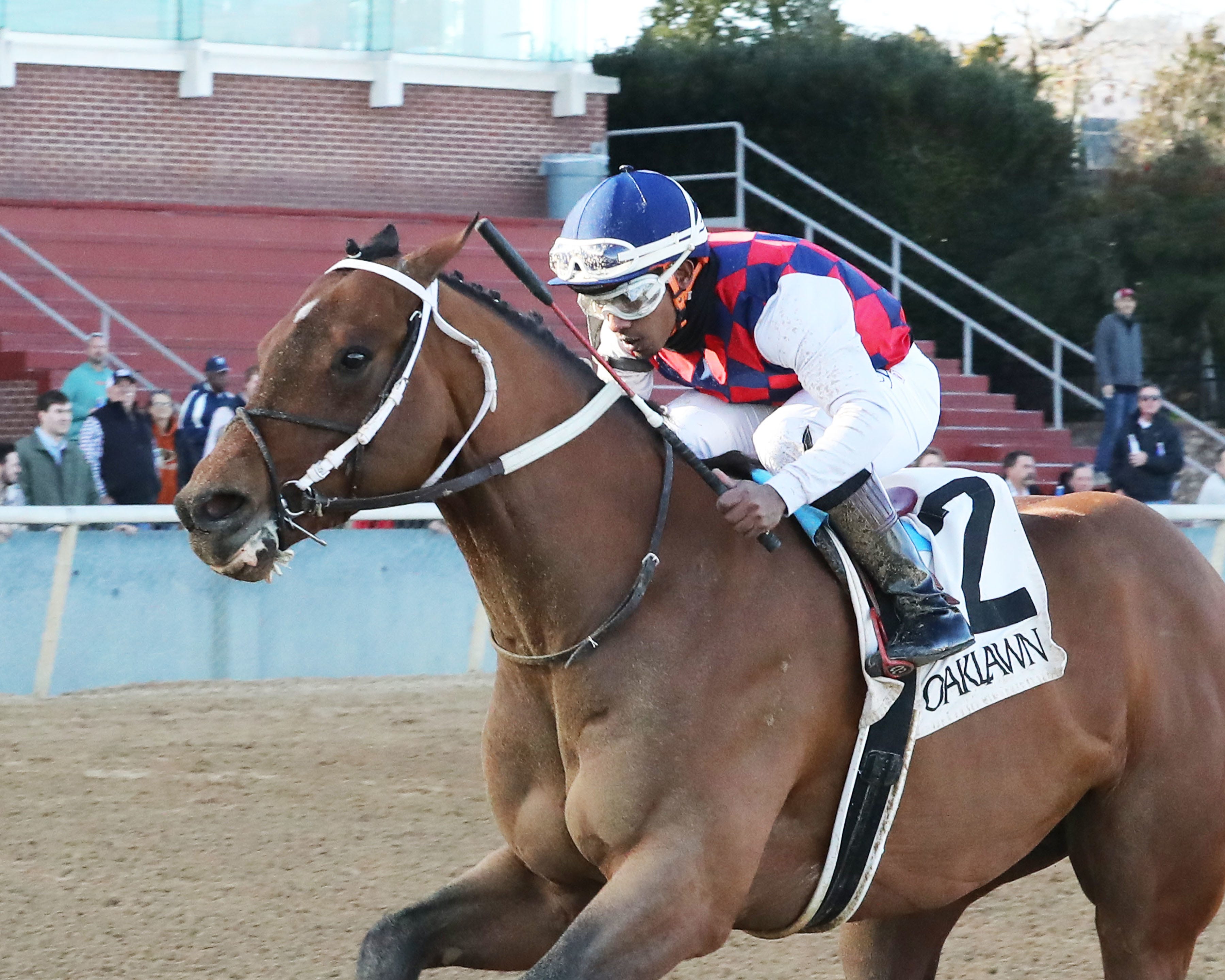 Gun Pilot under consideration for Rebel Stakes