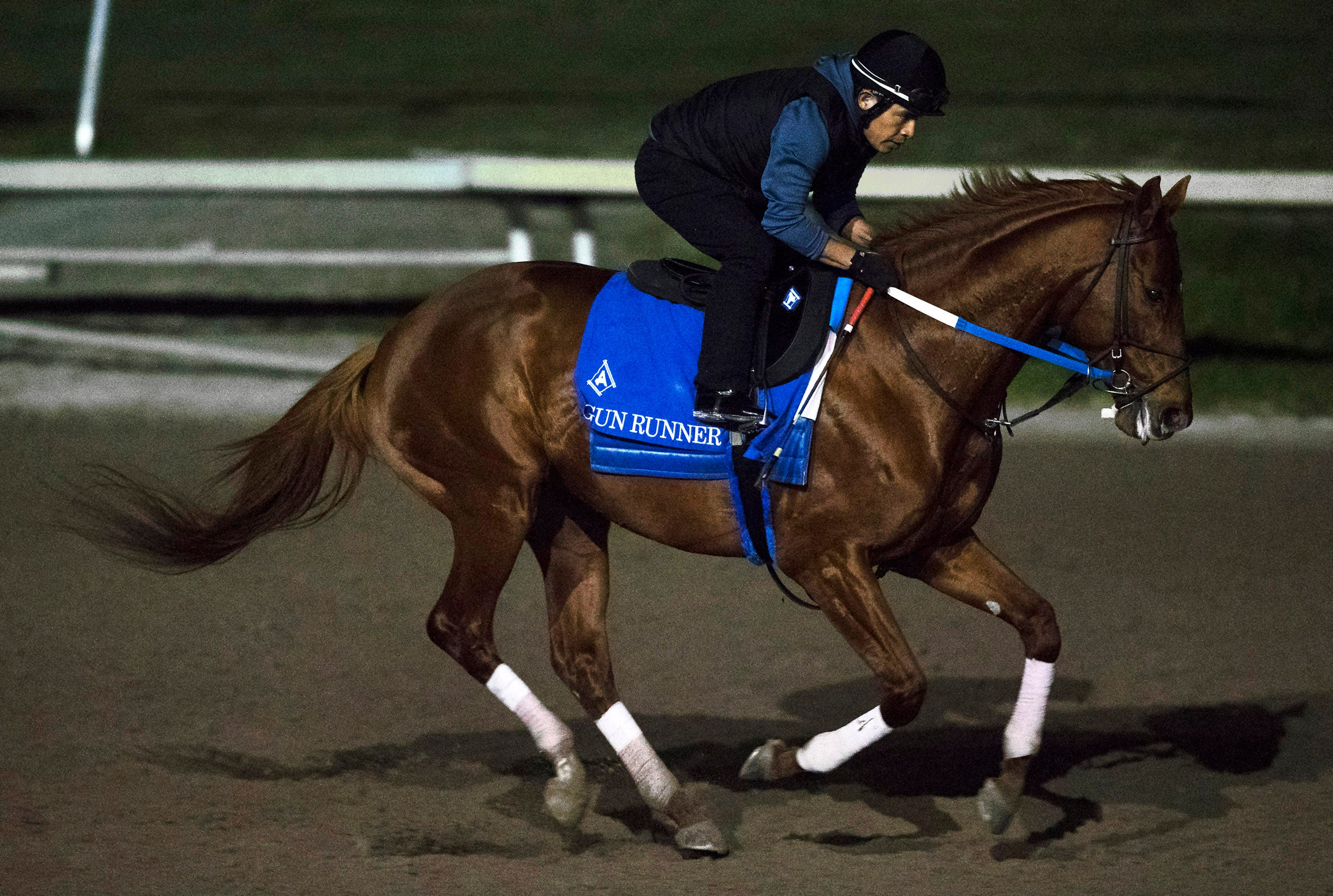 Gun Runner arrives at Gulfstream Park for Pegasus World Cup