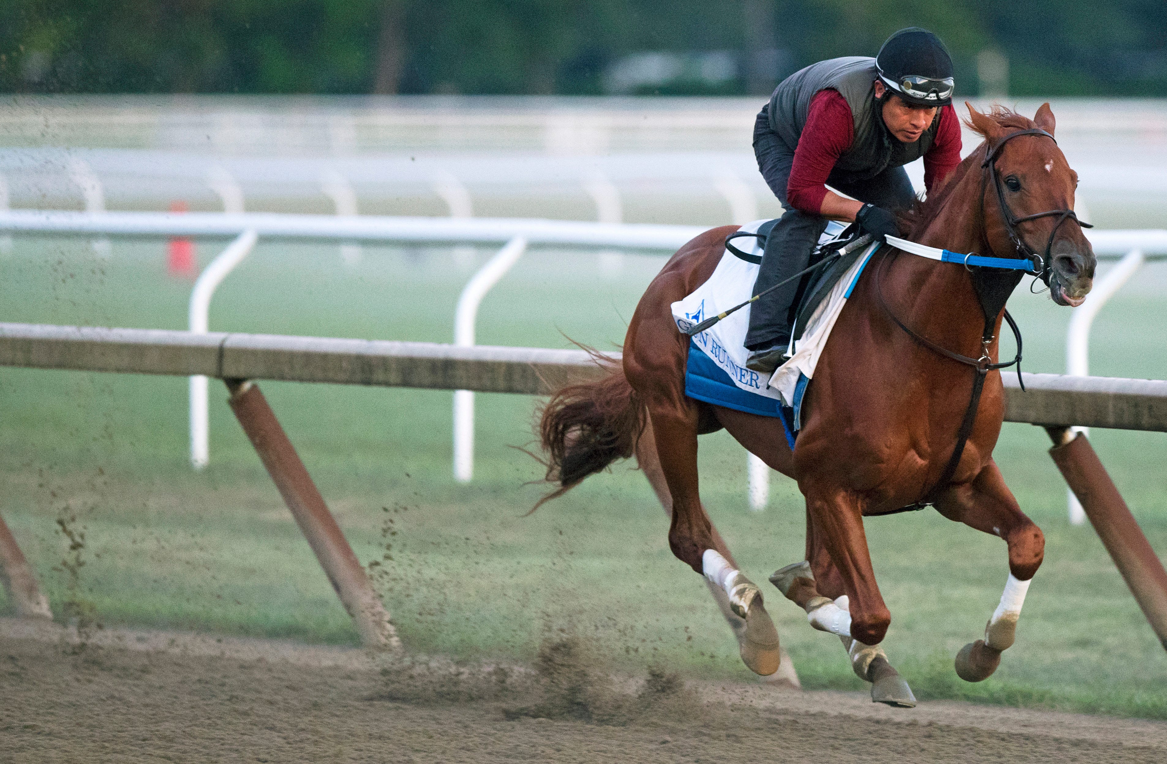 Hovdey: Gun Runner emerges as the leading man