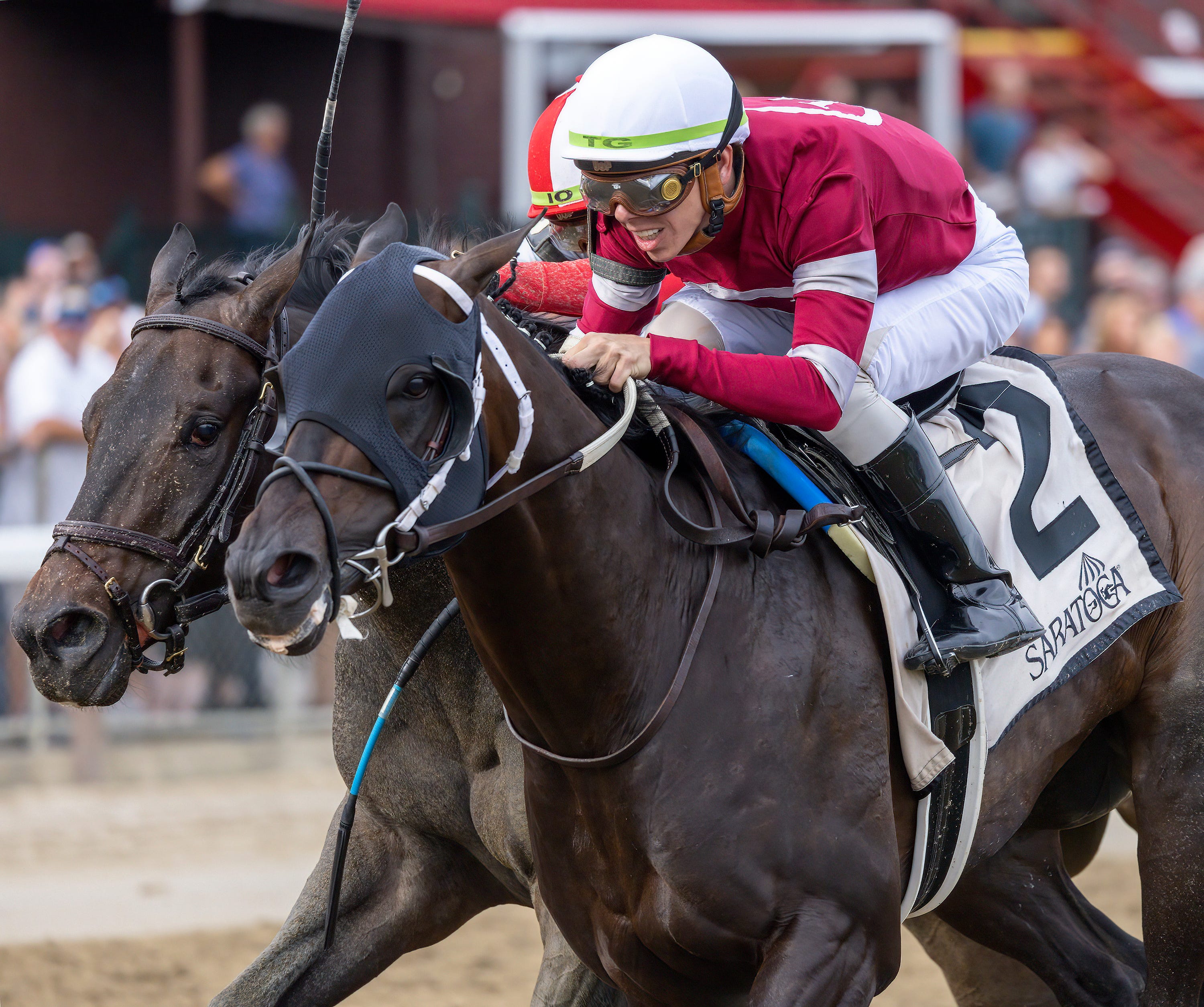 Breeders' Cup heavy with Gun Runner offspring