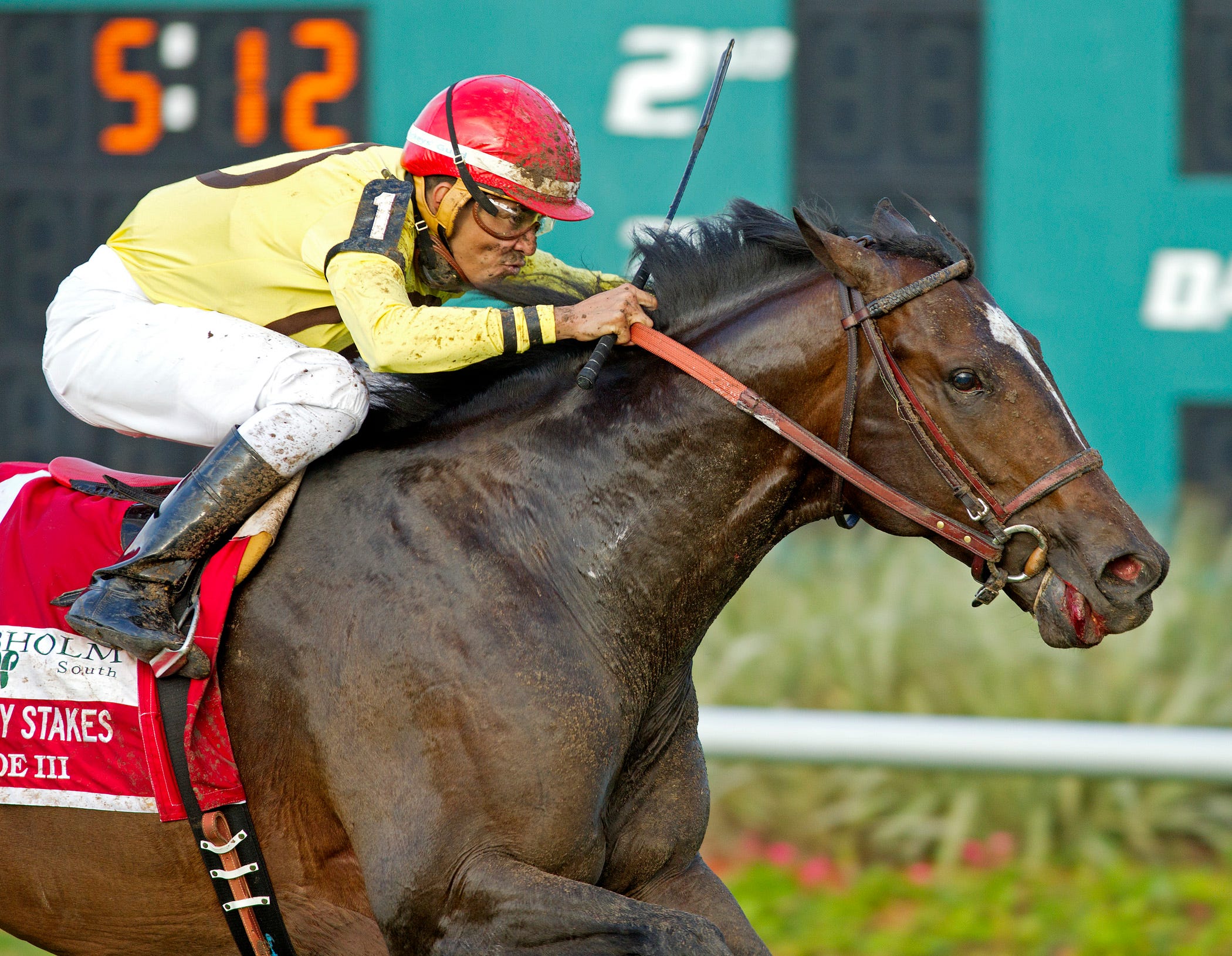 Tampa Bay Stakes: Guys Reward pulls $31 upset