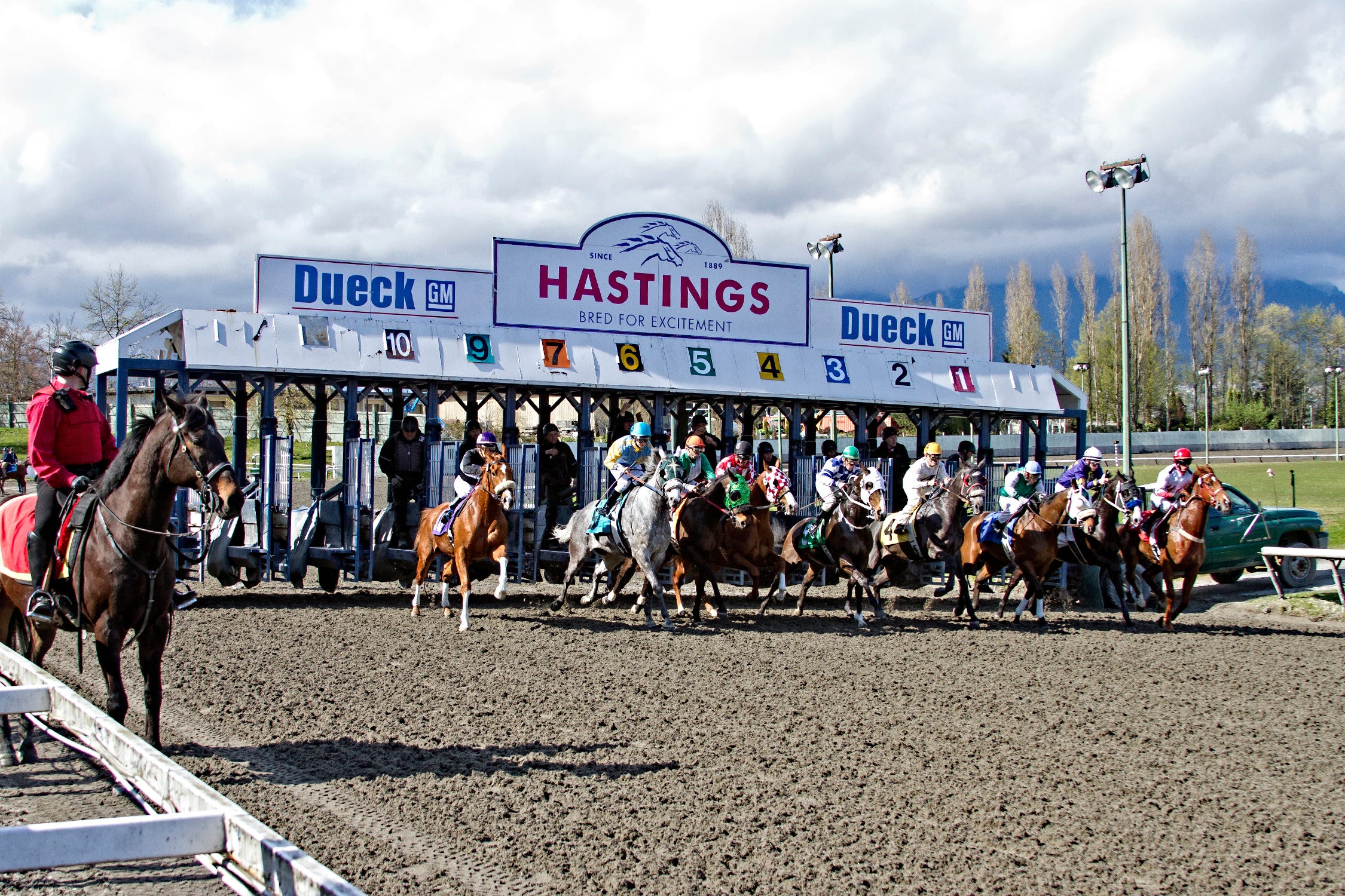 Sunbird, Infinite Patience headliners on Canada Day stakes doubleheader