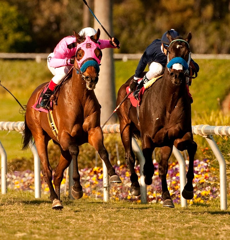 Santa Anita: Handsome Mike gets one last chance in Arkansas Derby