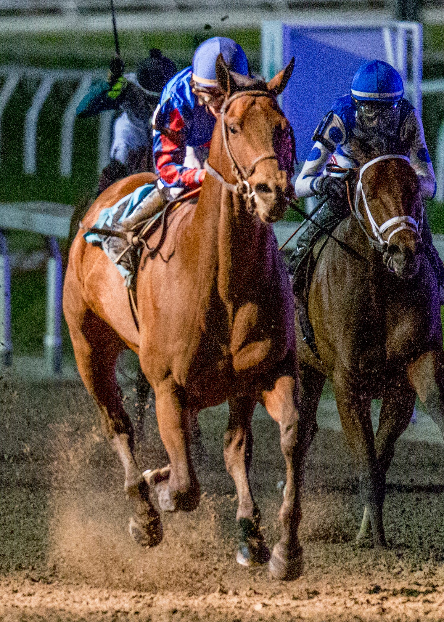 Happy American gets redemption with Tenacious win