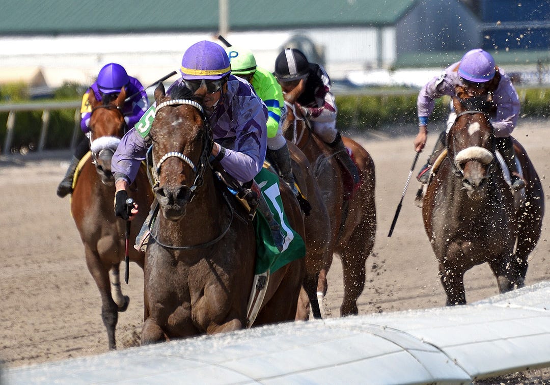 DRF's Horse Racing Playbook for Sunday, February 21, 2021