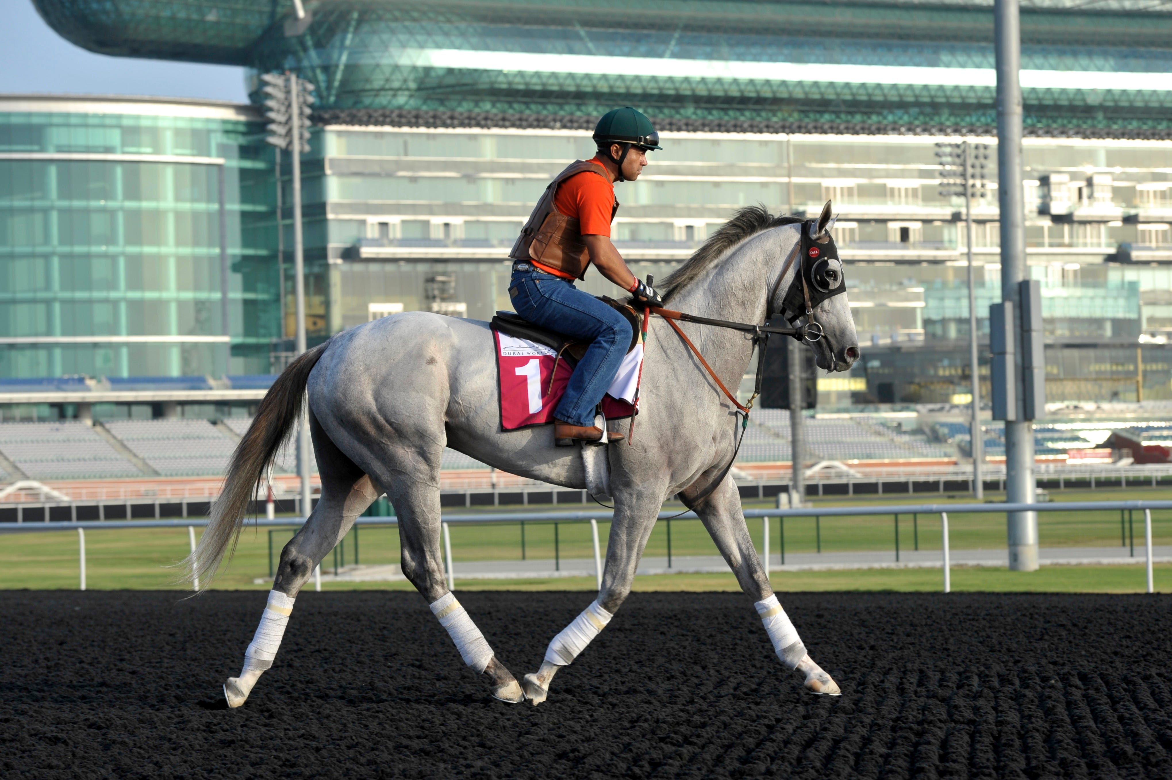 Sons of Tapit enter market