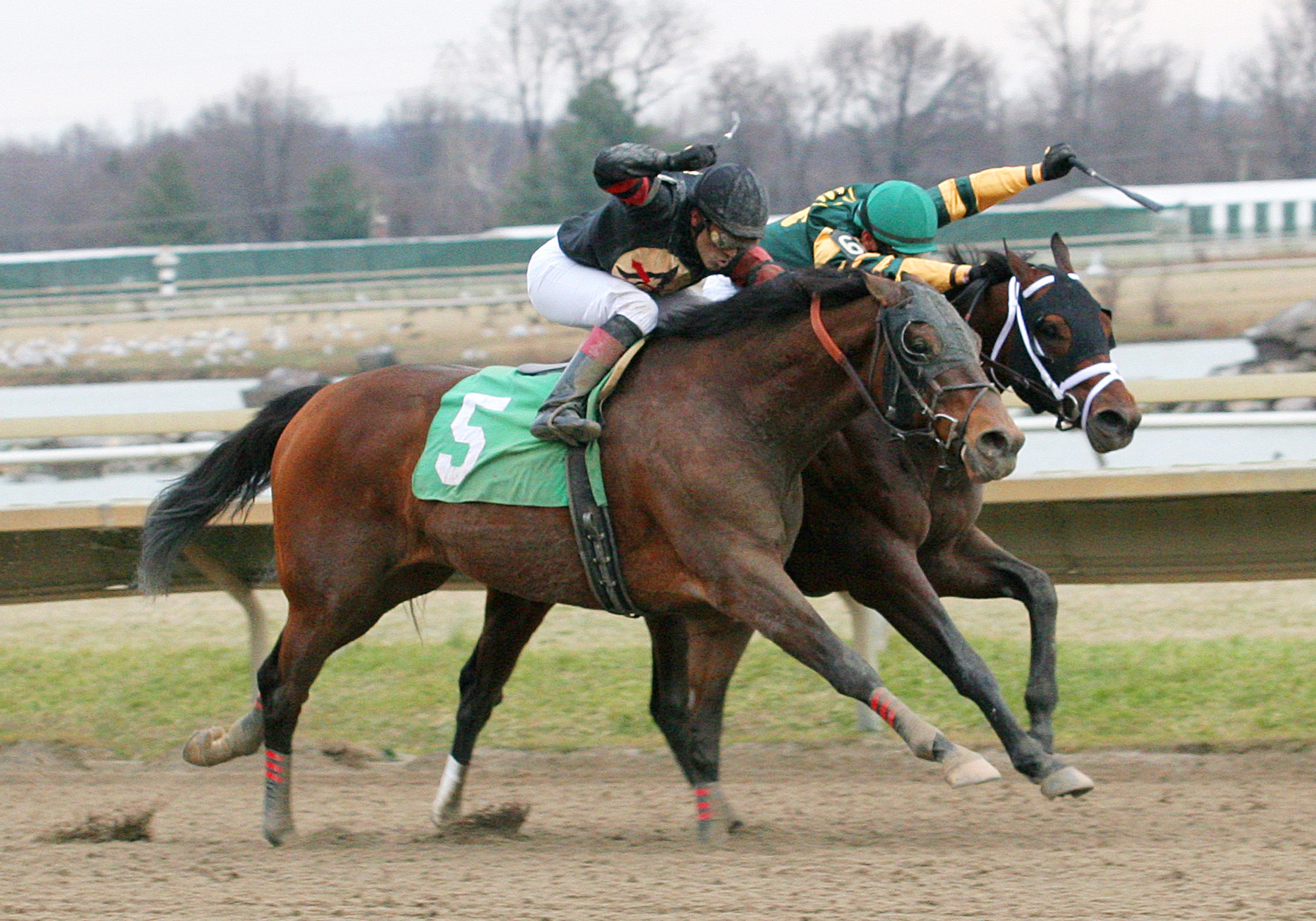 Parx: Heart Butte outbattles Thunder Lord by nose in Auld Lang Syne