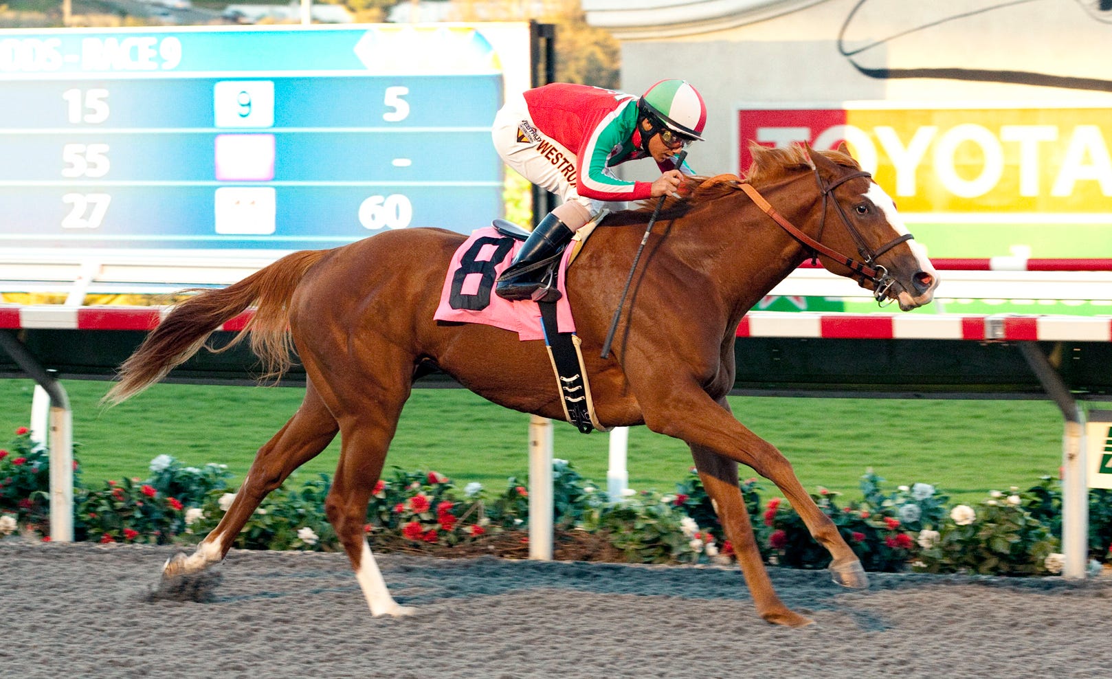 Turf milers in the spotlight for twin $100,000 stakes