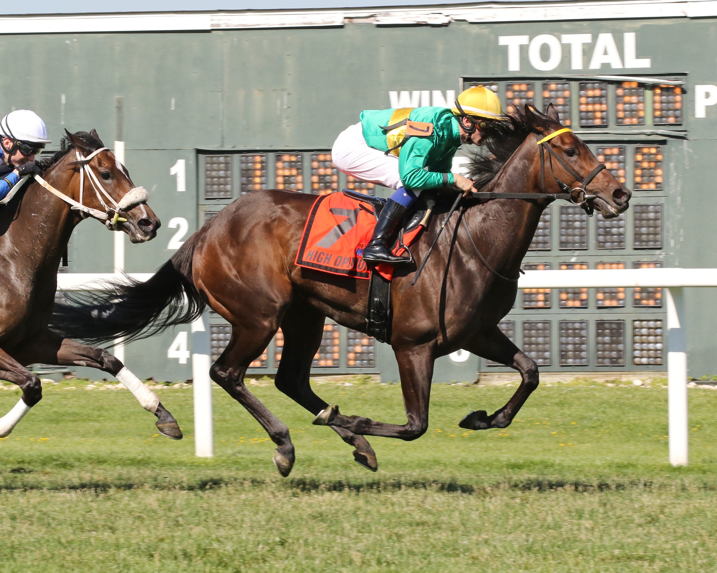 High Opinion up in time to take Neshaminy Stakes; Eons shows heart to ...