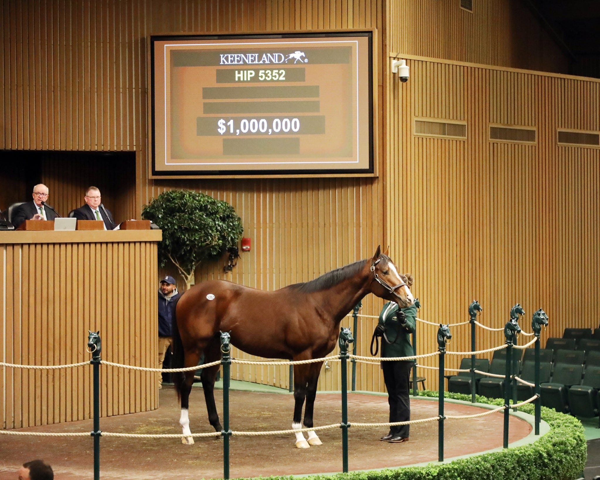 2-year-old colt by Into Mischief sells for $1 million to top Keeneland ...