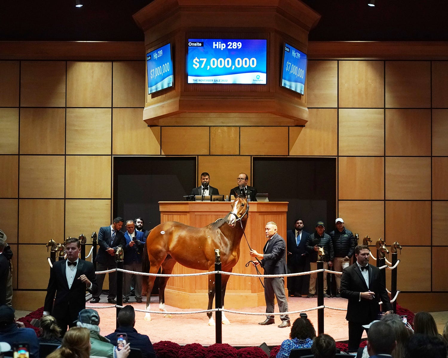 Fasig-Tipton November: Gamine tops sale at $7M; average, median slip