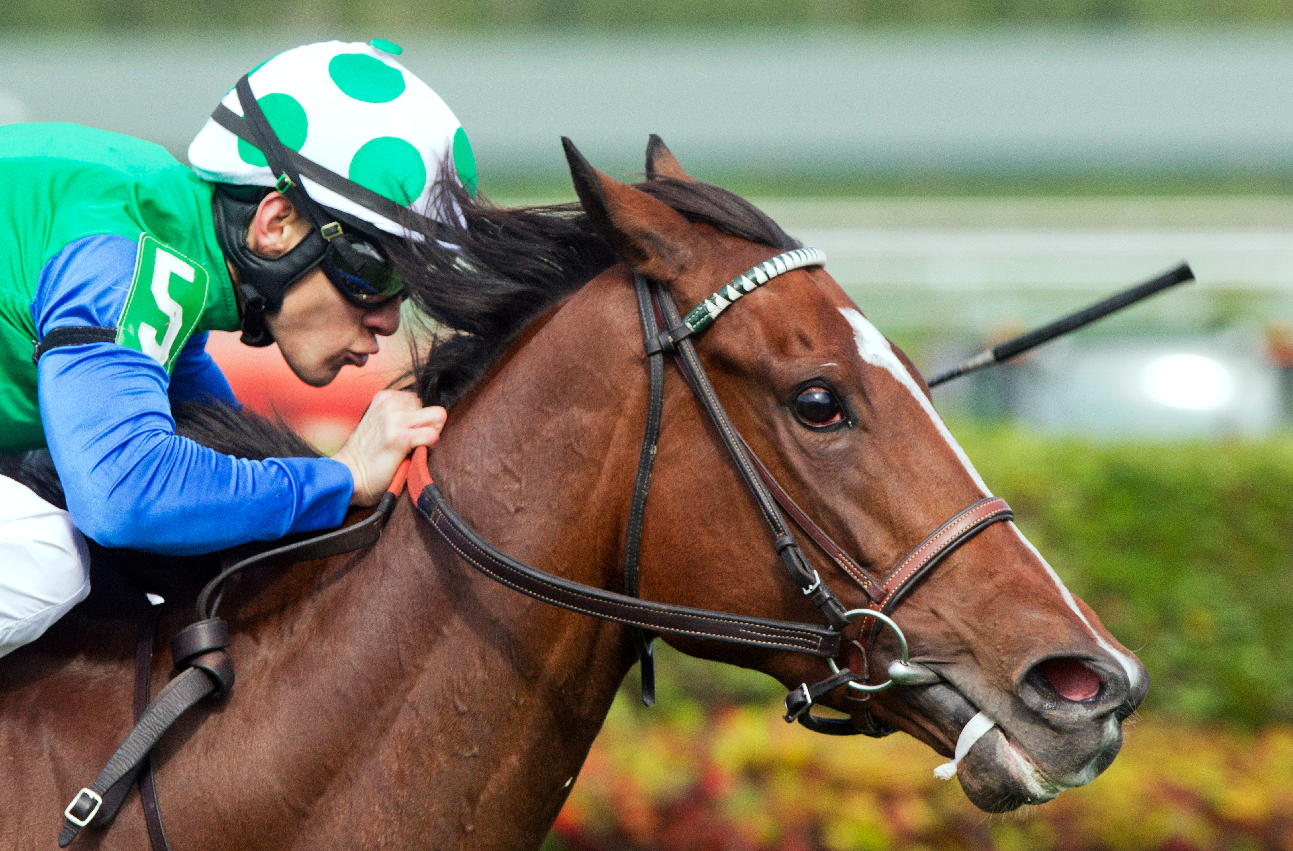 Lady Lara comes off layoff to win Honey Fox