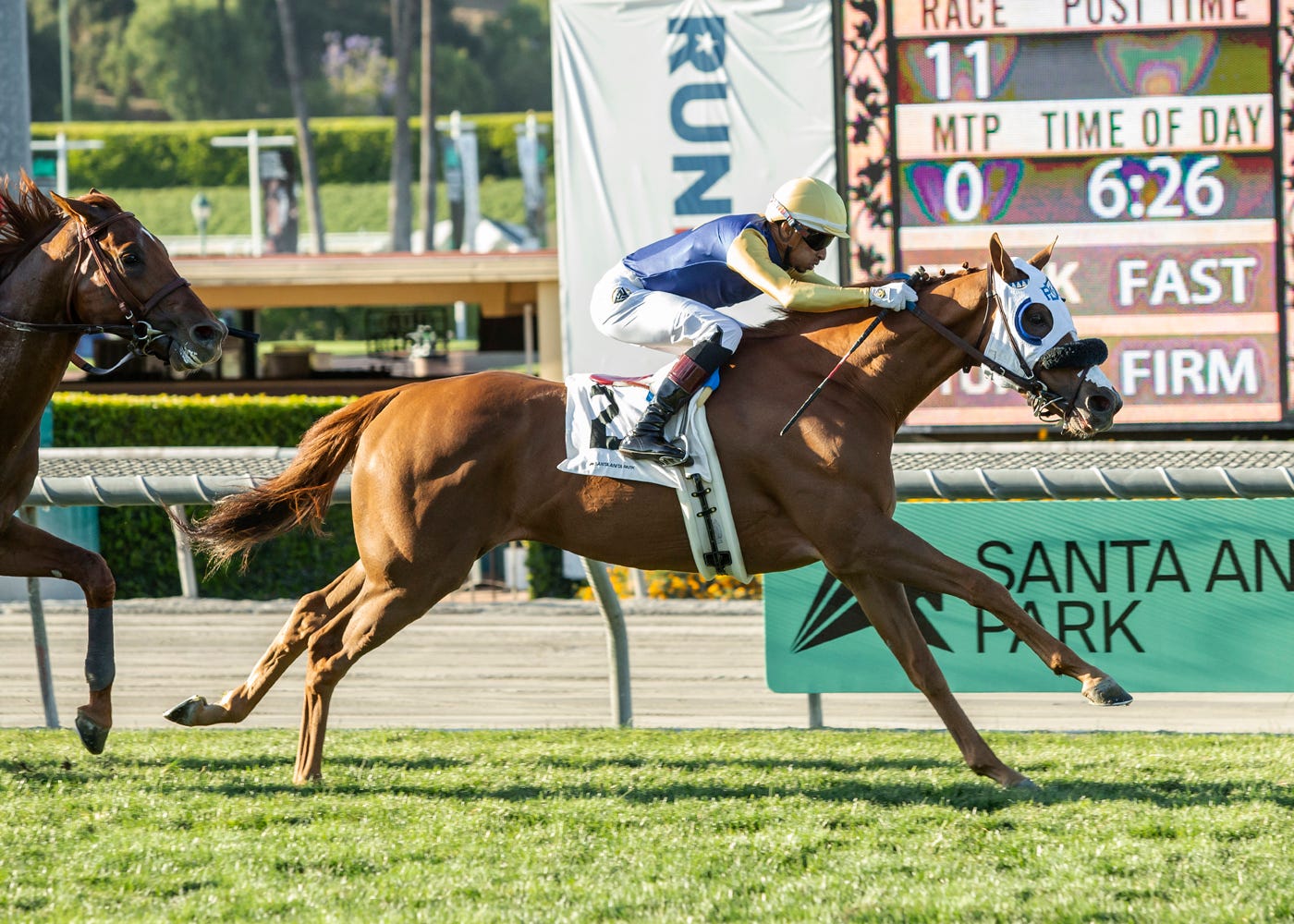 Hong Kong Harry will need absolute best to win wide-open Eddie Read