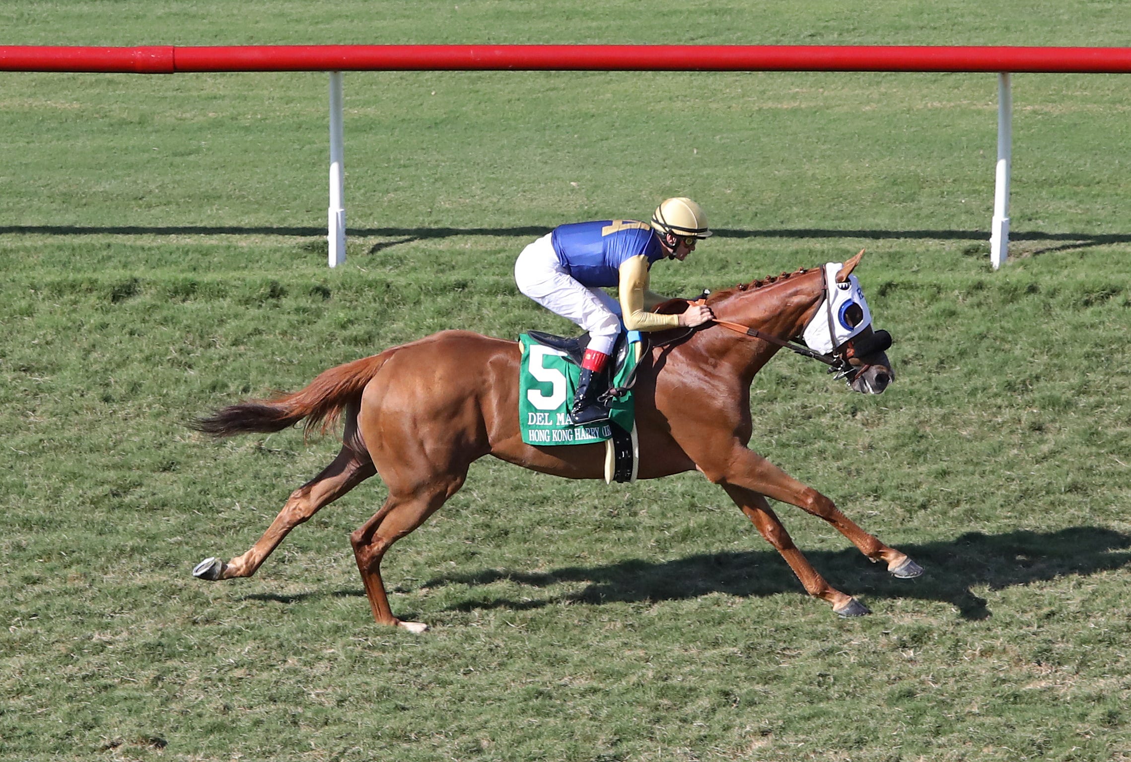 Hong Kong Harry to launch season in Kilroe Mile