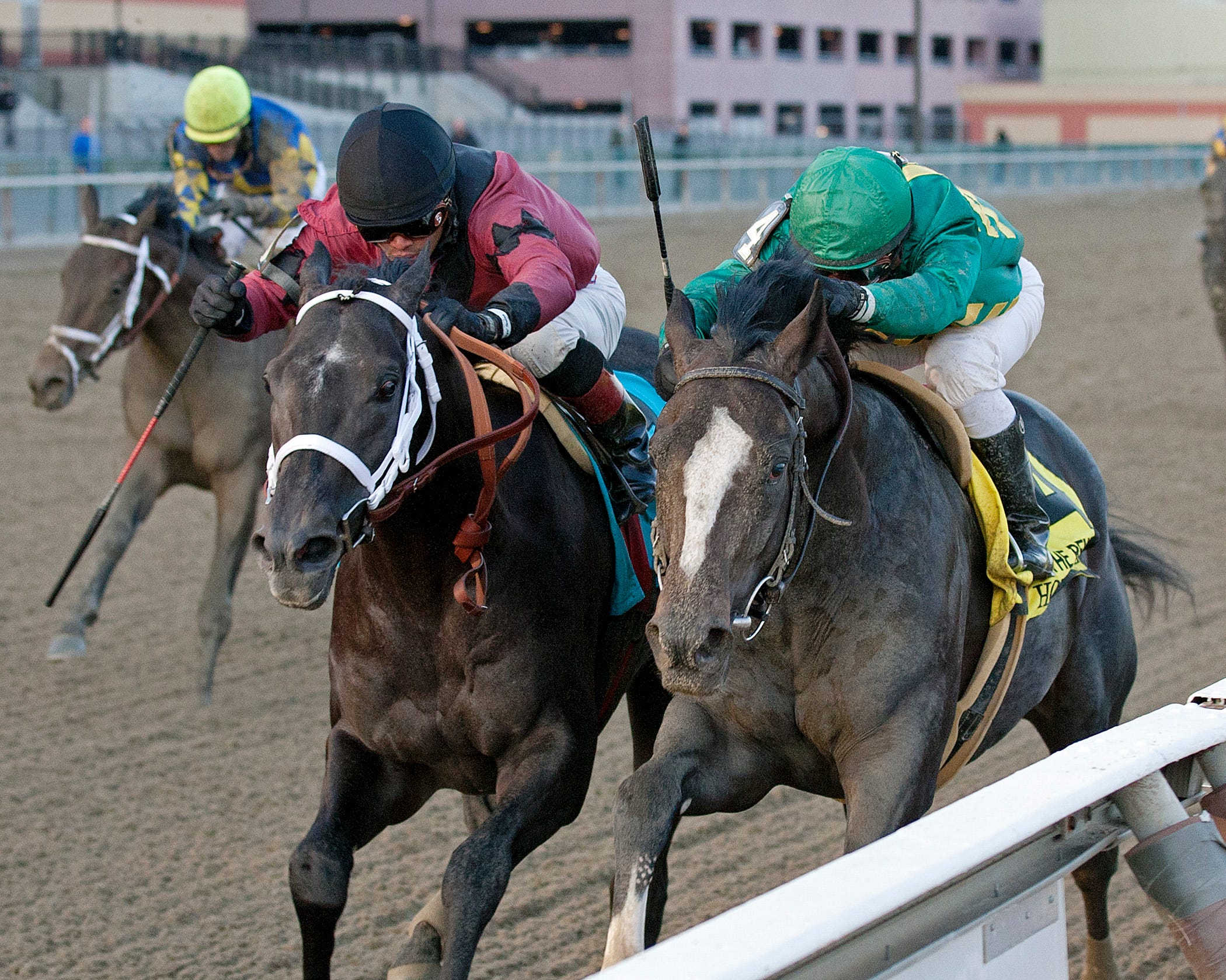 Aqueduct: Honor Code comes back on to nail Cairo Prince on wire in Remsen