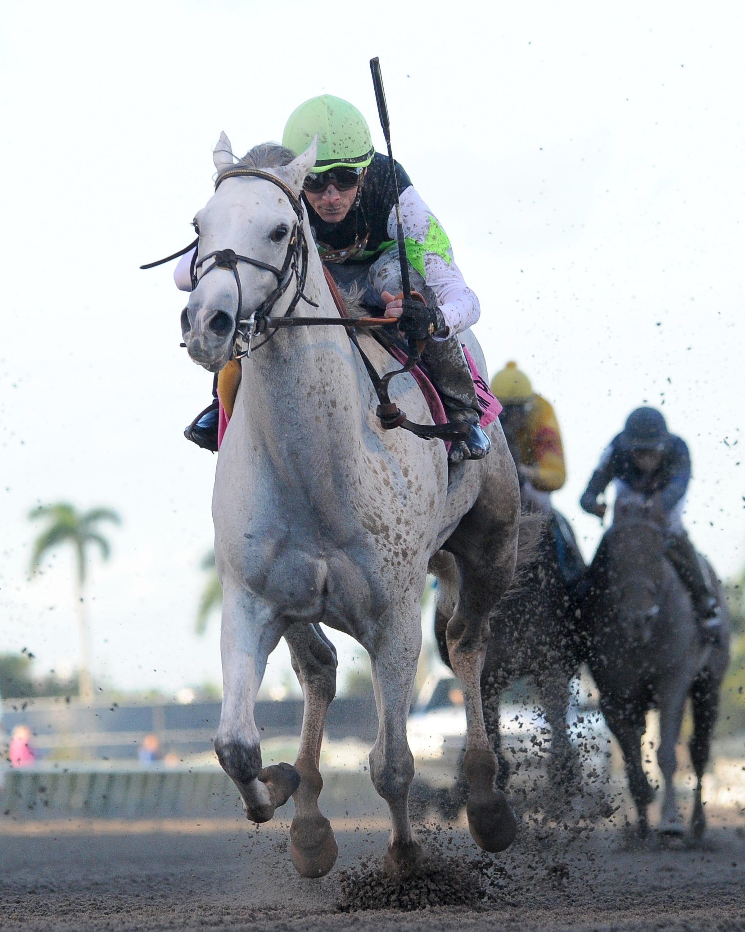 Gulfstream Park: Honorable Dillon holds off Forty Tales in Hutcheson