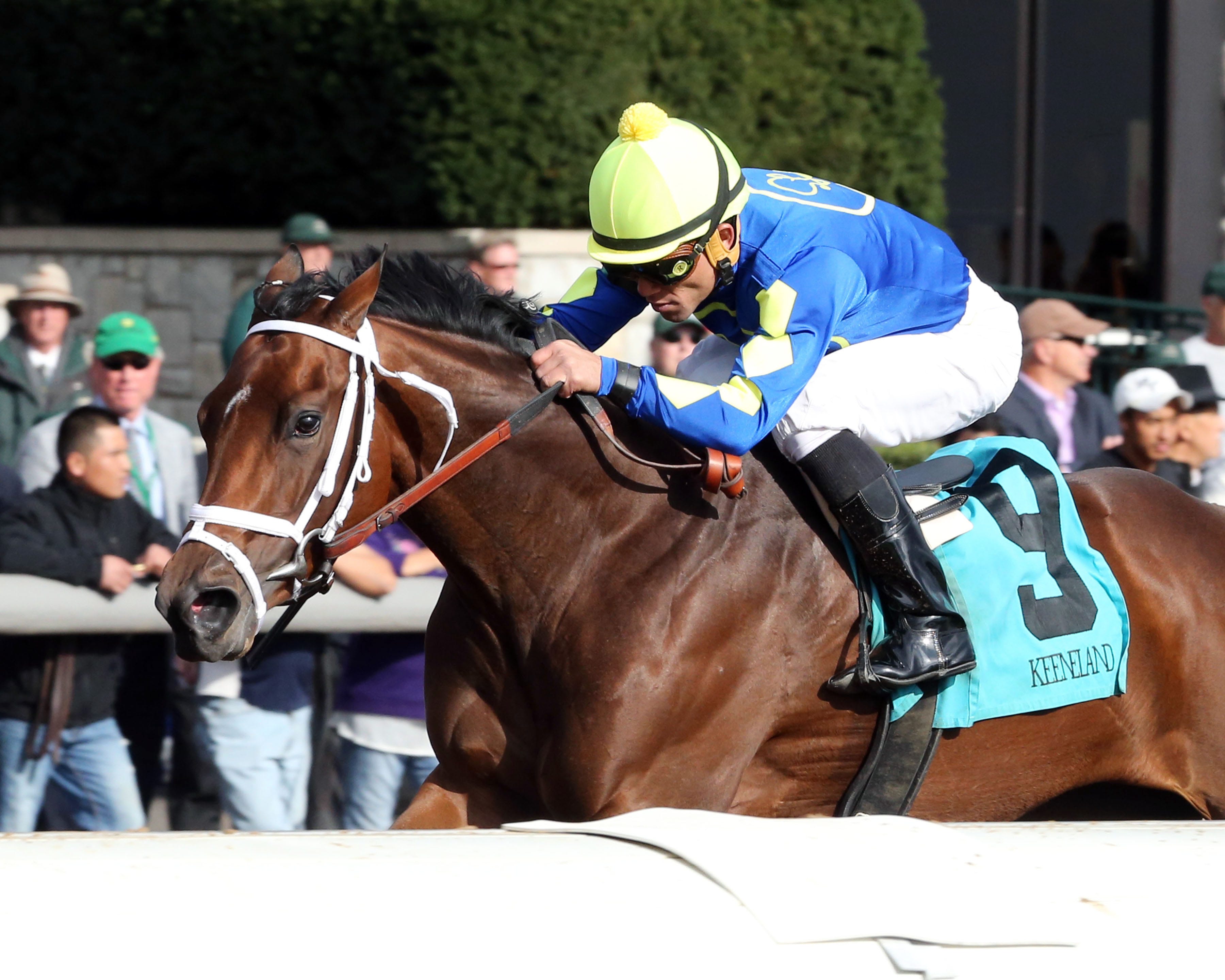 Busanda pits Pletcher vs. Sheikh Mohammed