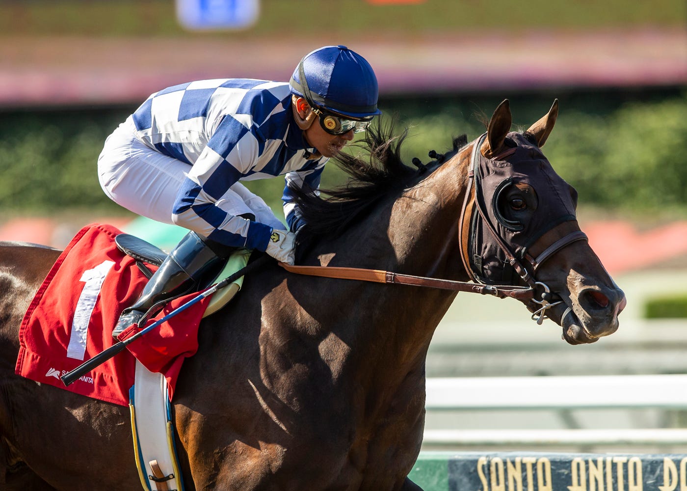 Hopper likes the stretch-out, dominates Affirmed Stakes