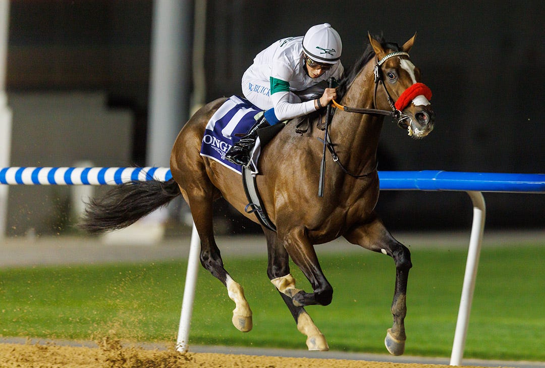 Dubai World Cup: Hot Rod Charlie following winning formula