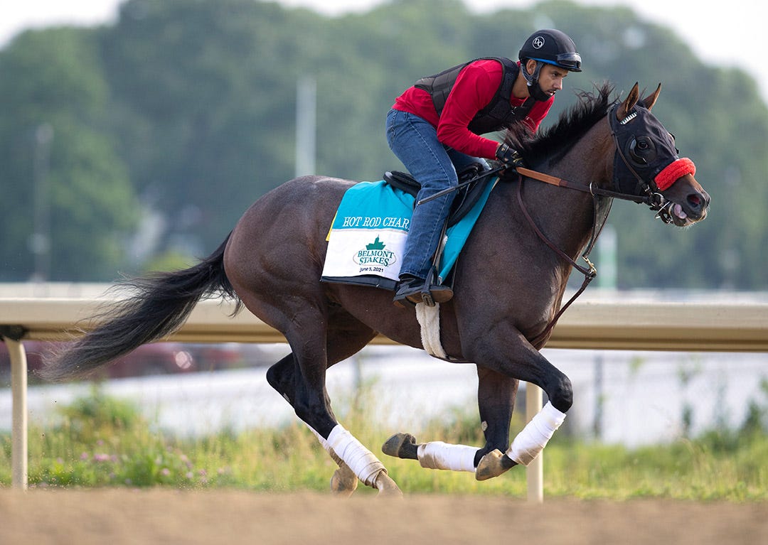 Haskell: Hot Rod Charlie most likely winner but it will not be easy