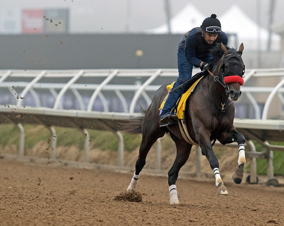 Hot Rod Charlie cierra su exitosa campaña como tresañero en el San ...