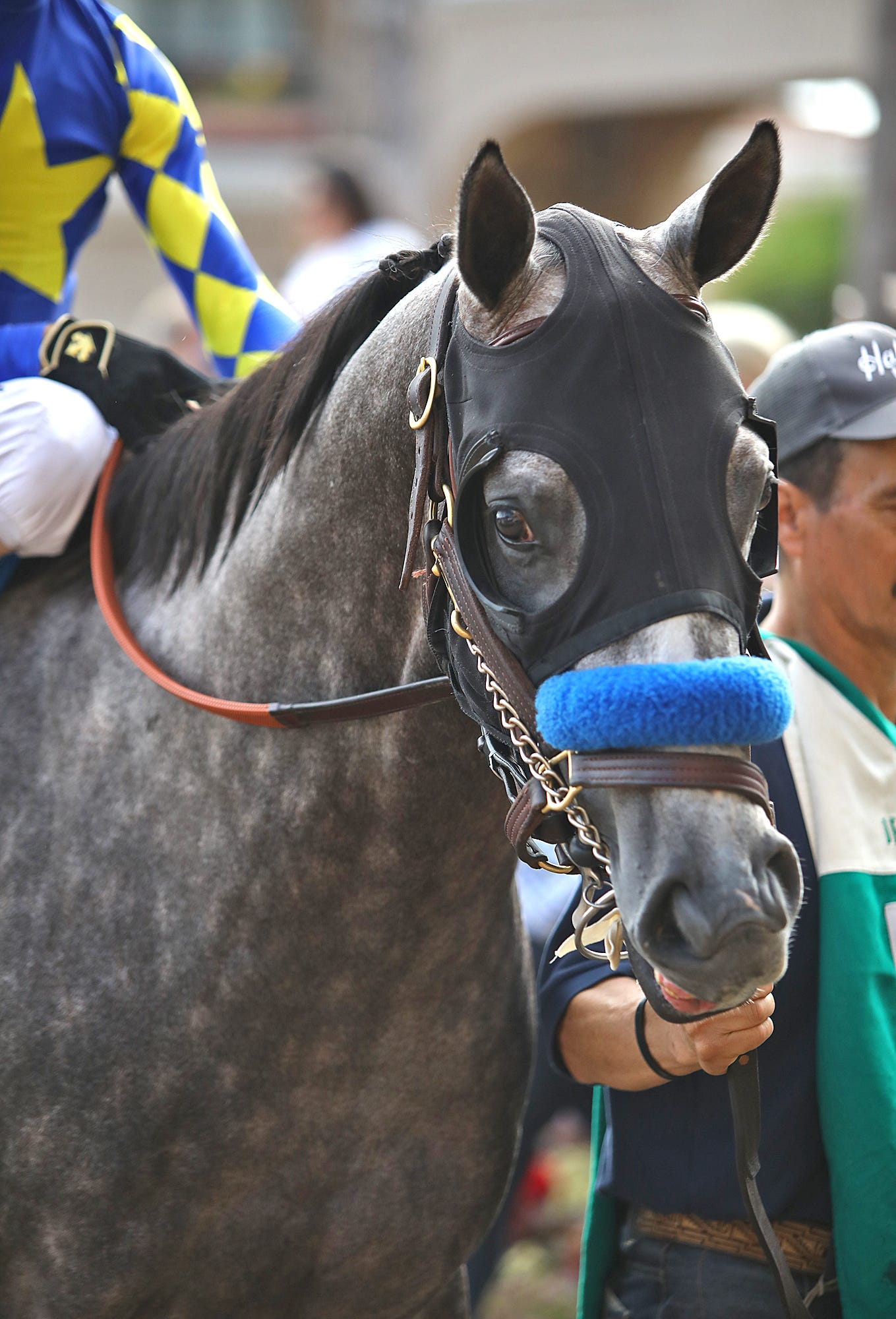 Hydrogen key element in starter sprint
