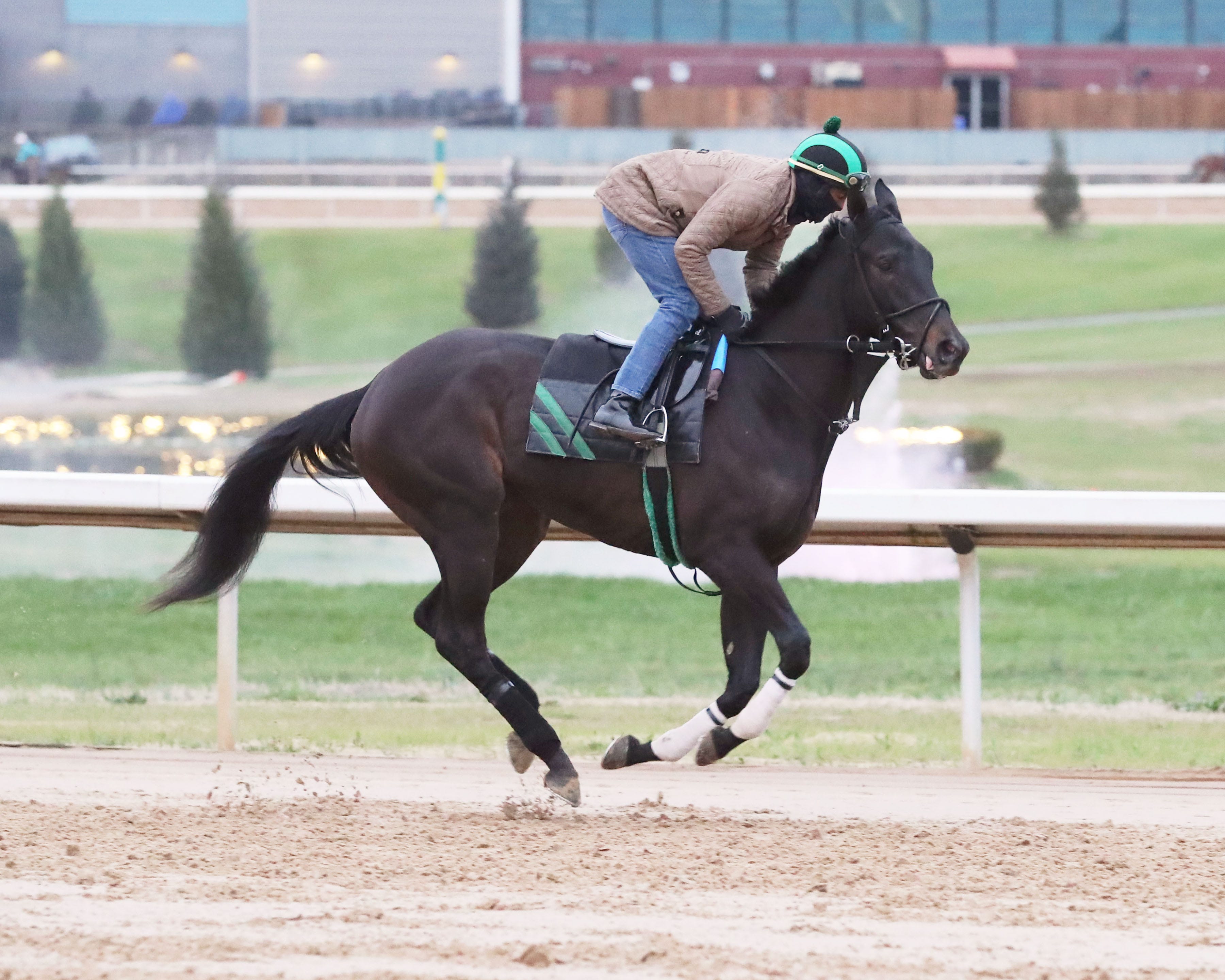 Ice Orchid's sharp form and early speed make her formidable in allowance