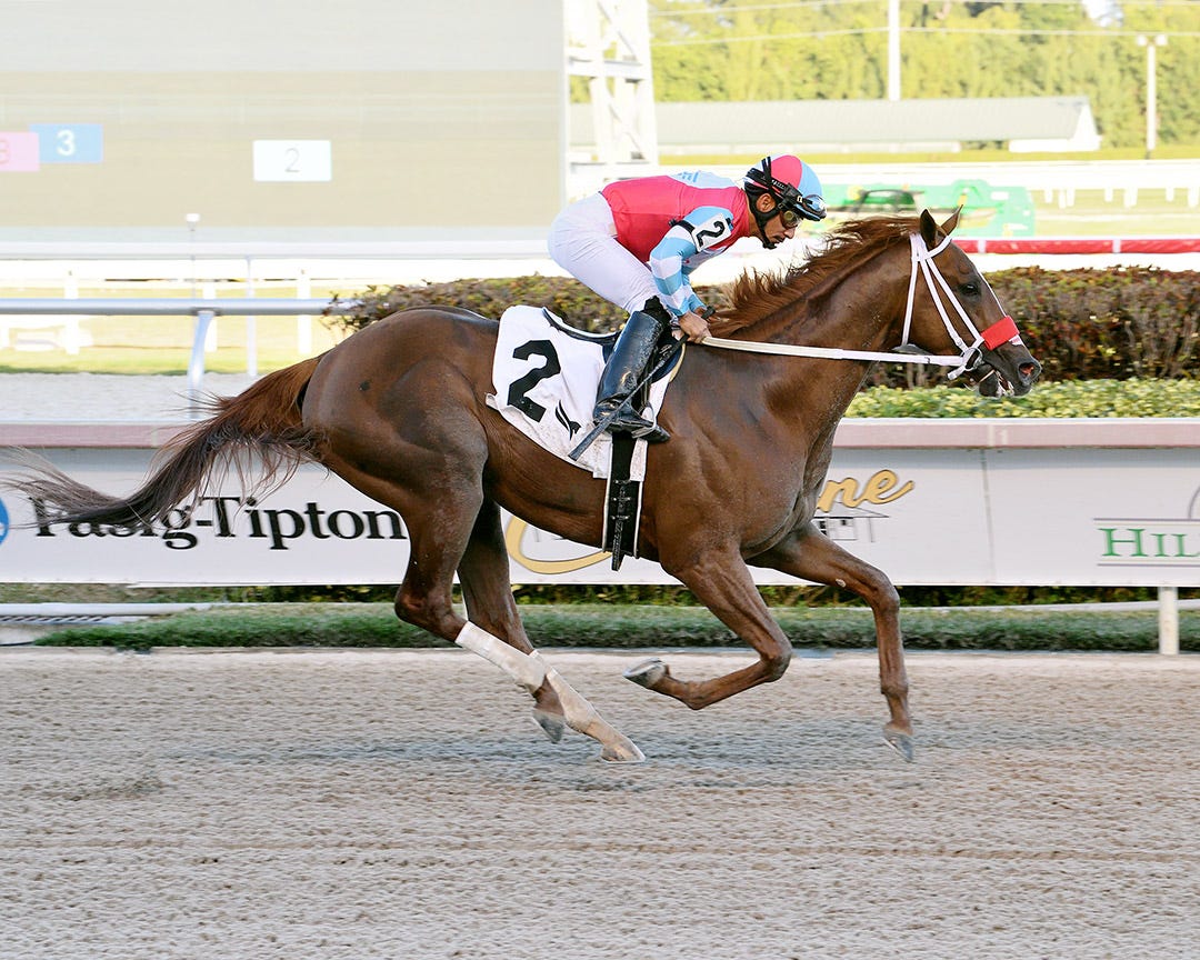 Kentucky Derby status for In Due Time uncertain after third-place run ...