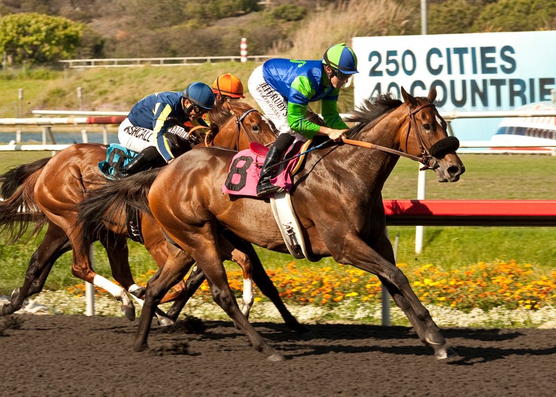 Hollywood Park: Include Me Out wins Desert Stormer
