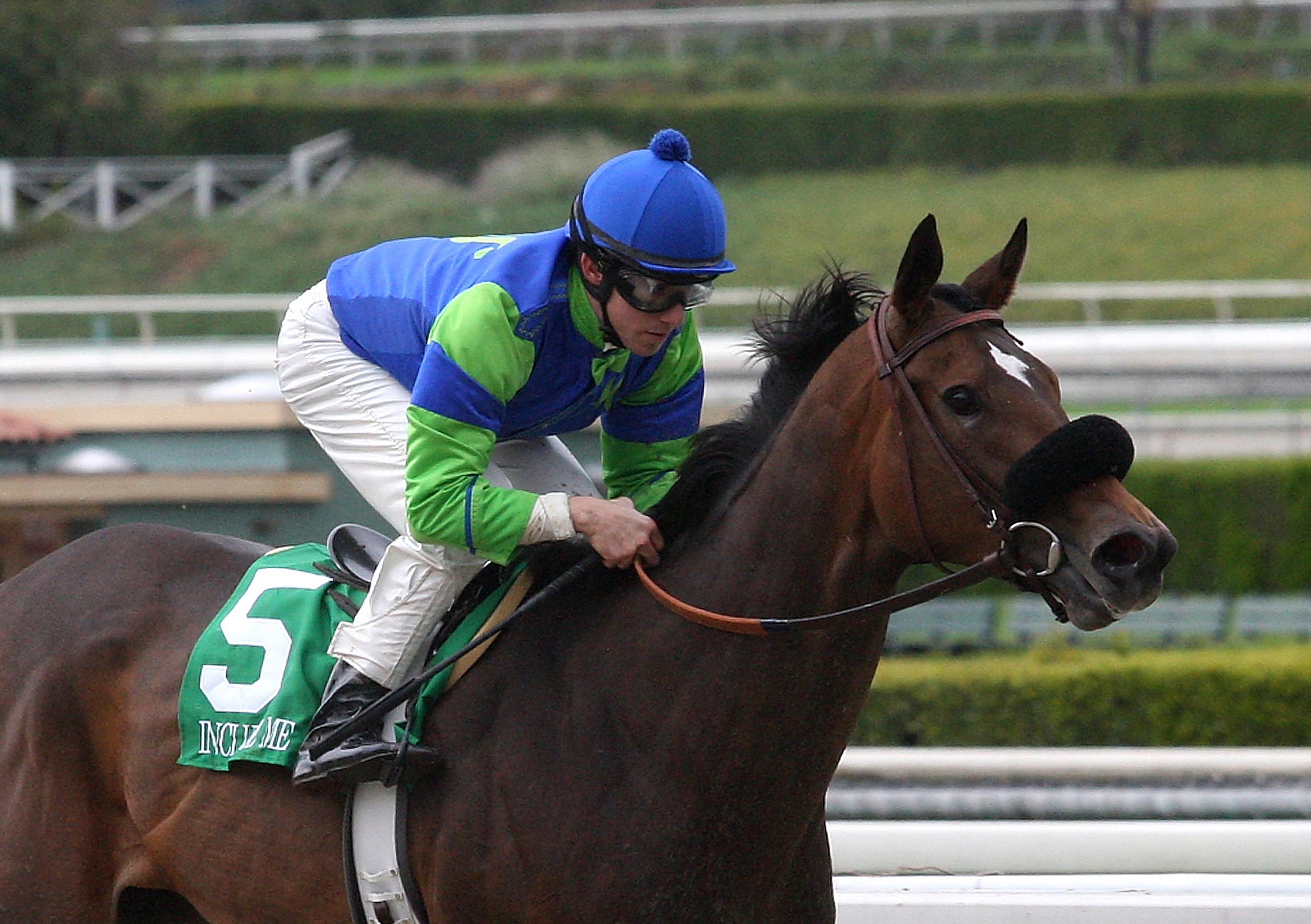 Hollywood Park: Include Me Out, Zazu tune up for Vanity