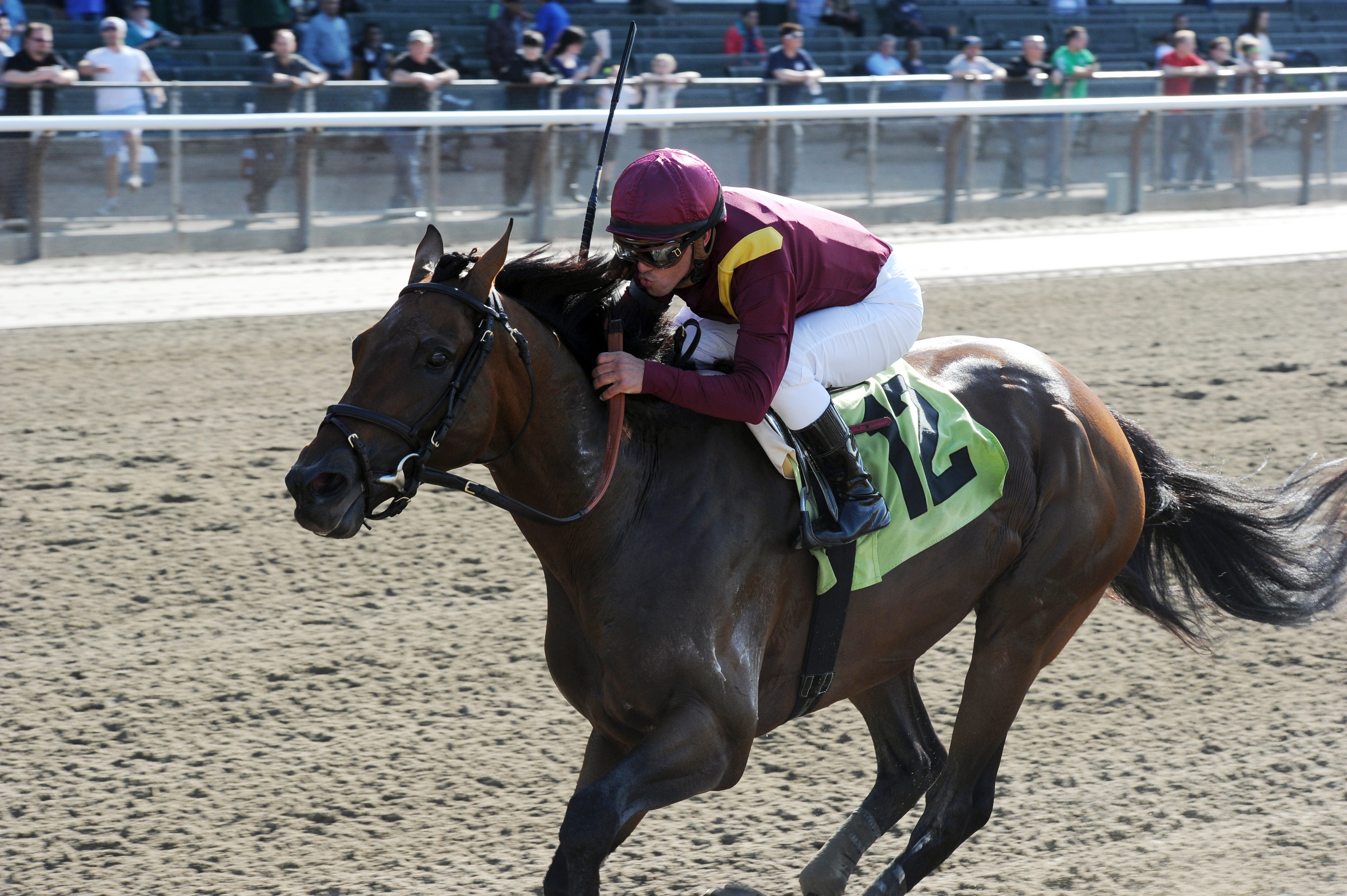 Integrity captures off-the-turf Elusive Quality Stakes