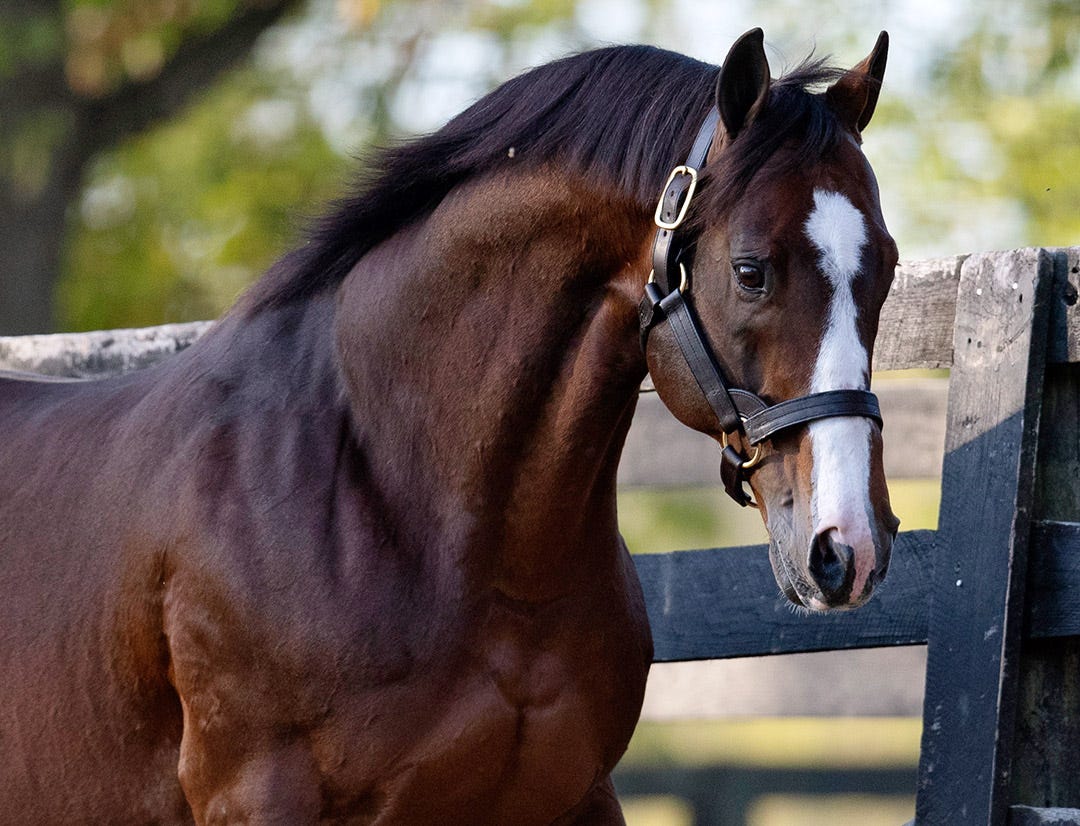 The Jockey Club rescinds stallion cap rule
