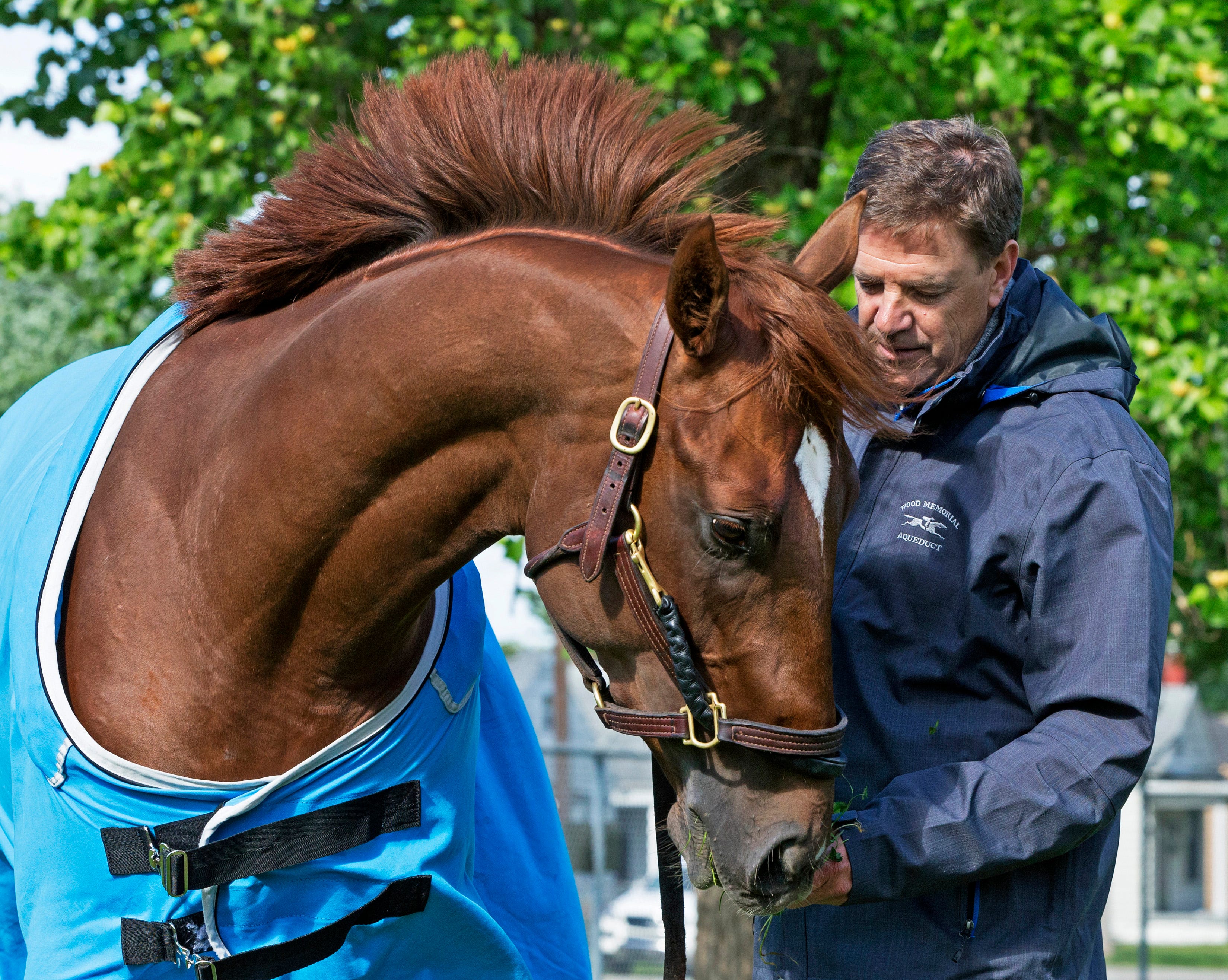 Irish War Cry ready as he can be for Belmont Stakes
