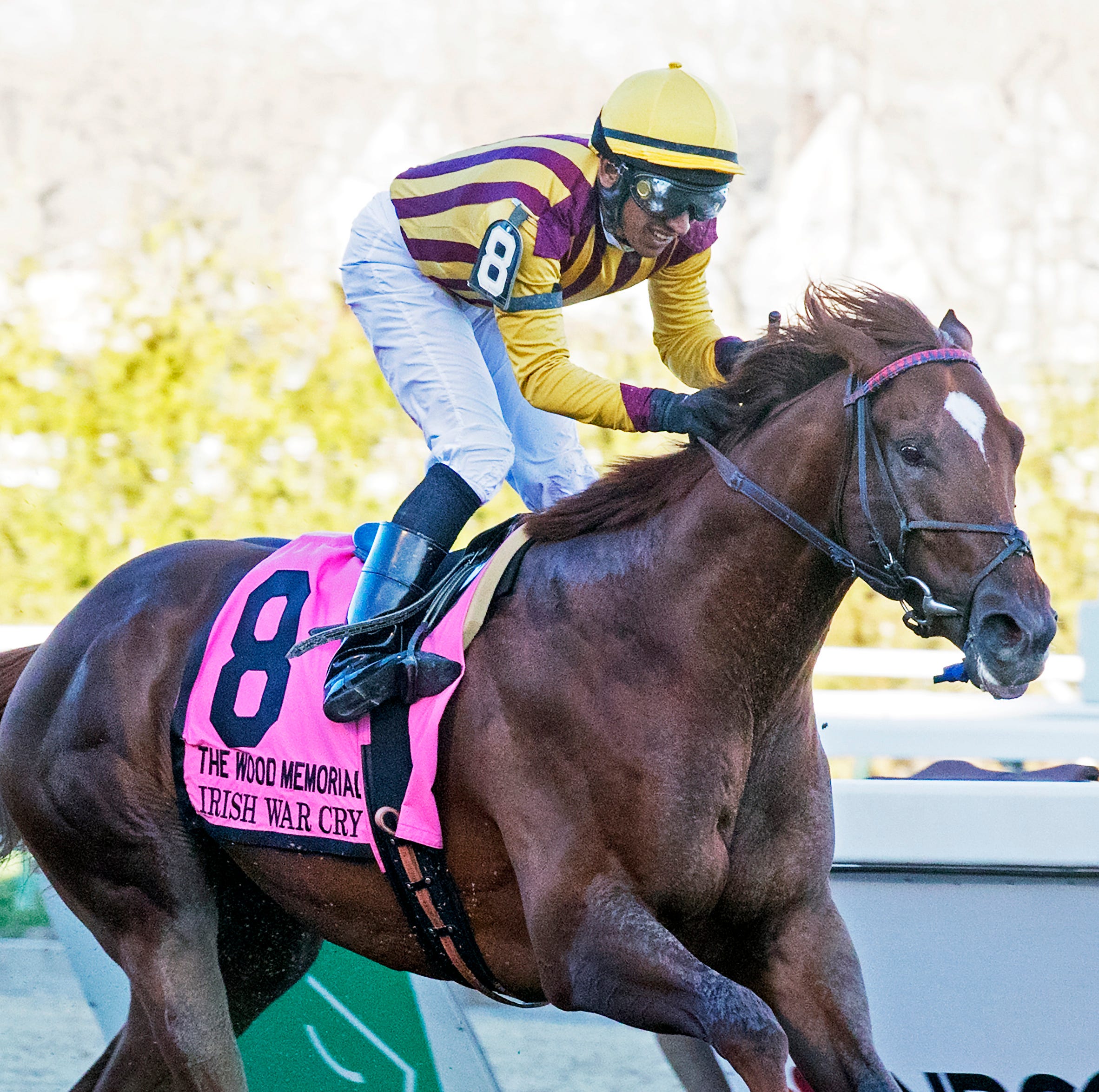 Irish War Cry rebounds with Wood Memorial triumph
