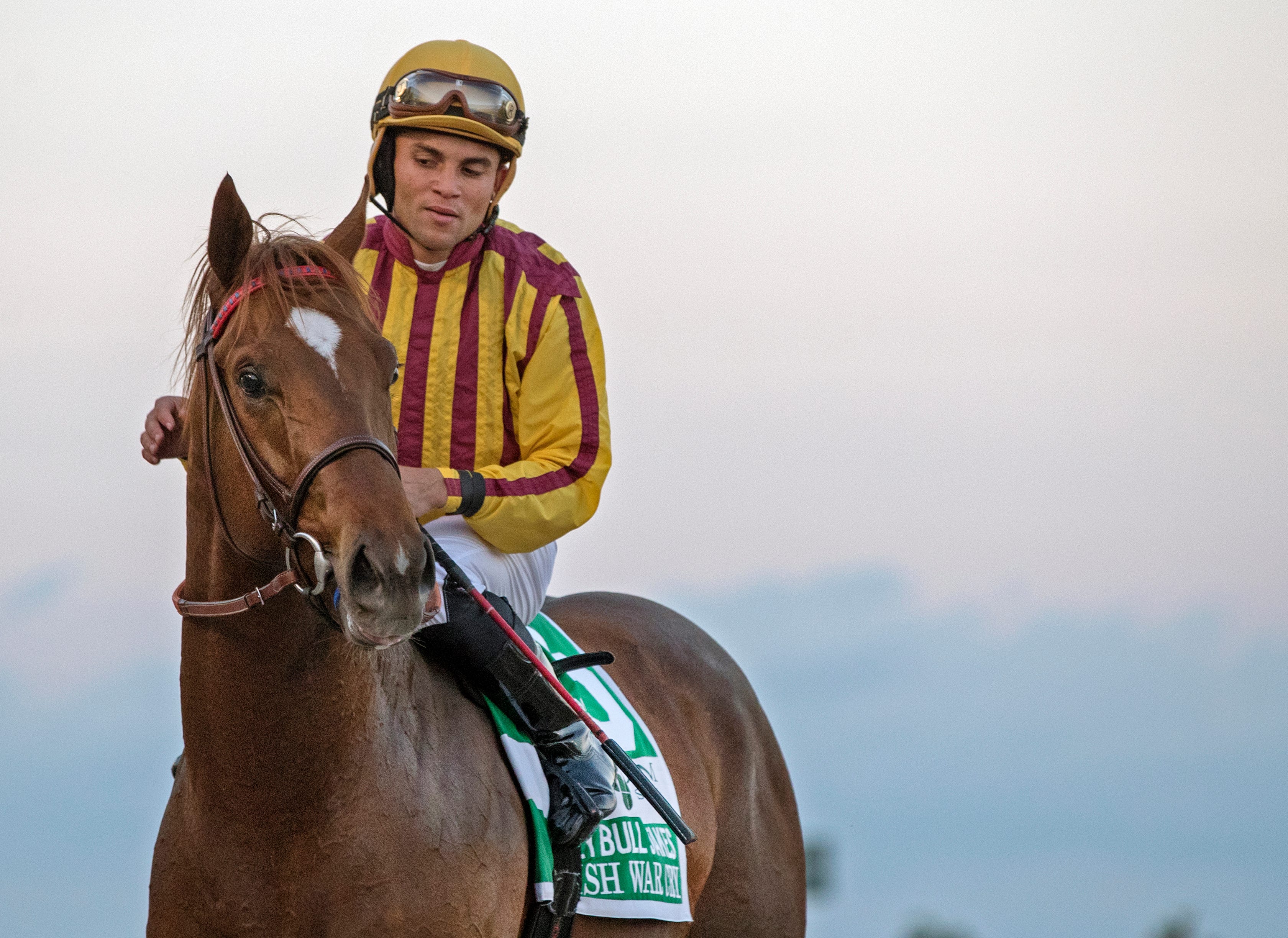 Irish War Cry to have one breeze for Fountain of Youth Stakes