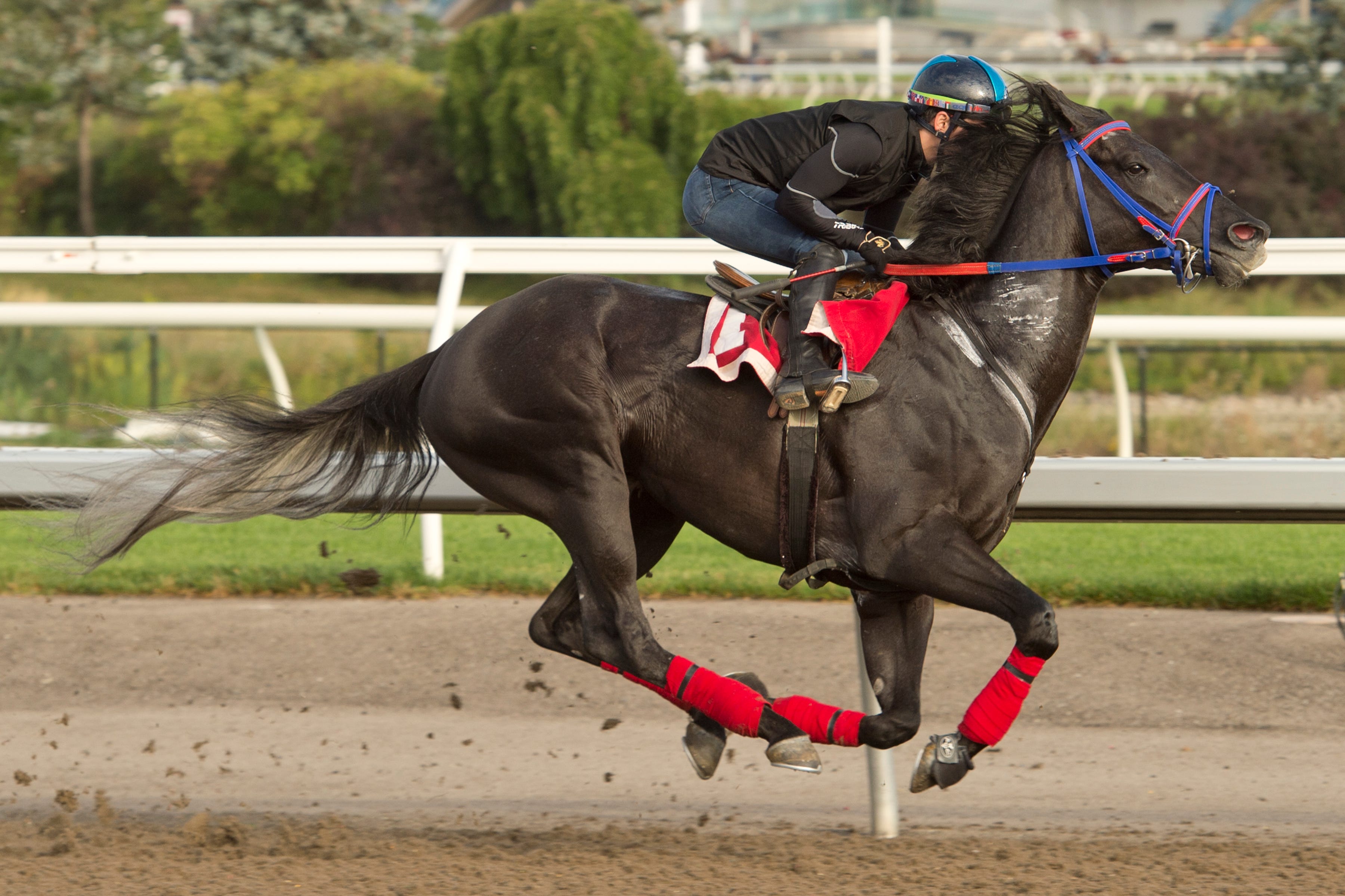 Prince of Wales: Canadian Triple Crown moves to dirt at Fort Erie