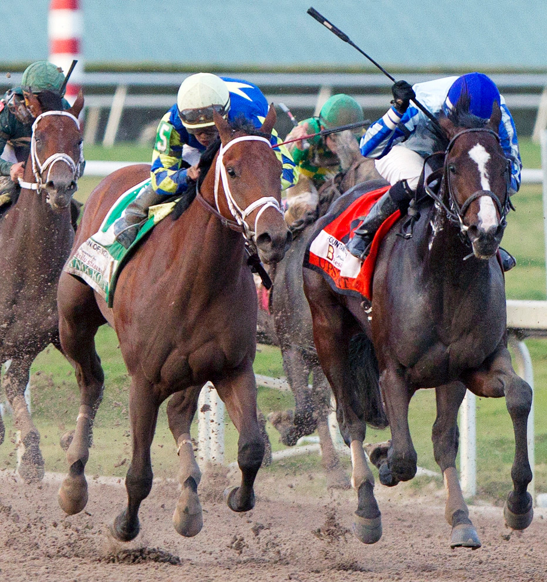 Mike Welsch's top 3-year-olds at Gulfstream on March 2