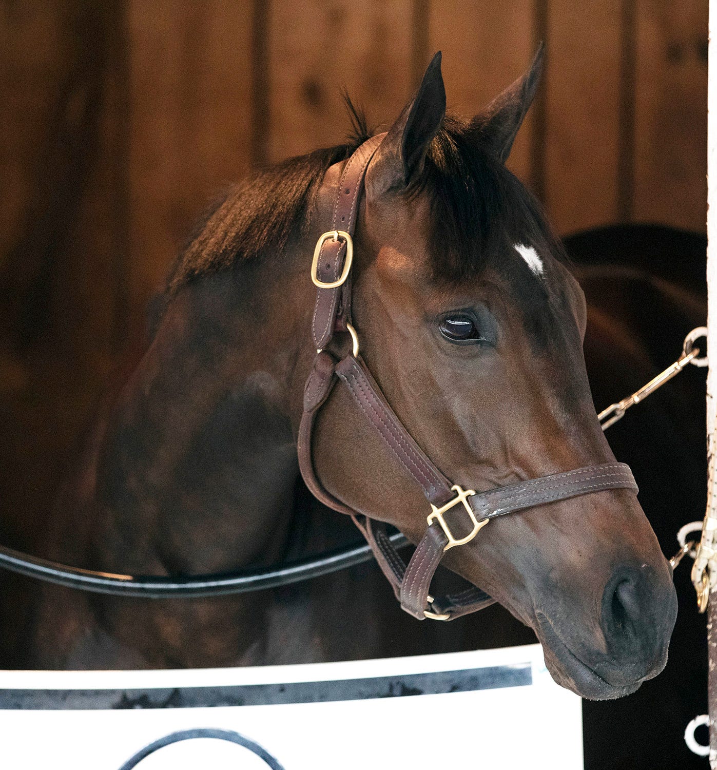 More distance could help Ivy Bell earn first Grade 1 in Phipps