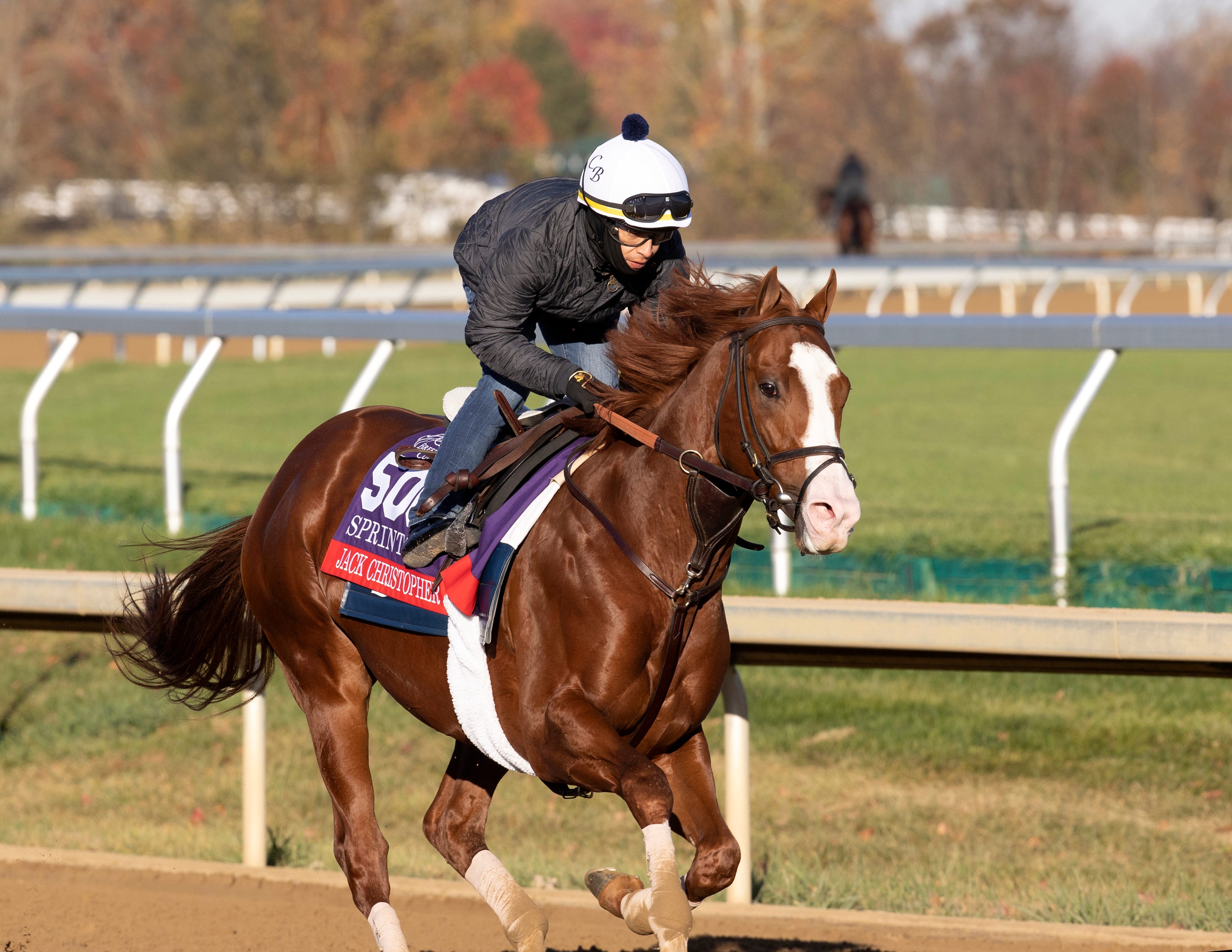 Jack Christopher retired; will stand for $45K at Coolmore's Ashford Stud