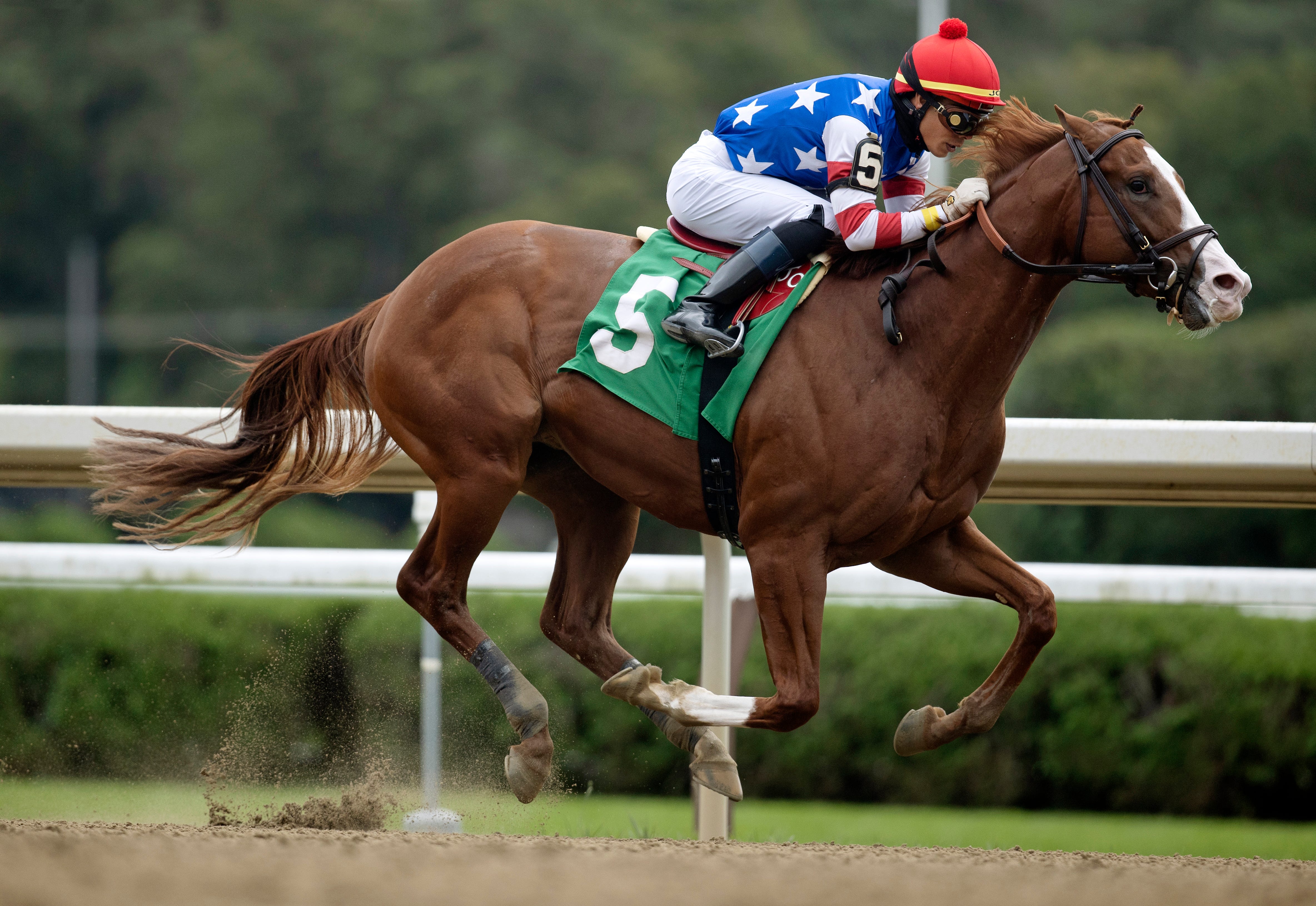 Brown juvenile Jack Christopher turns heads with debut victory