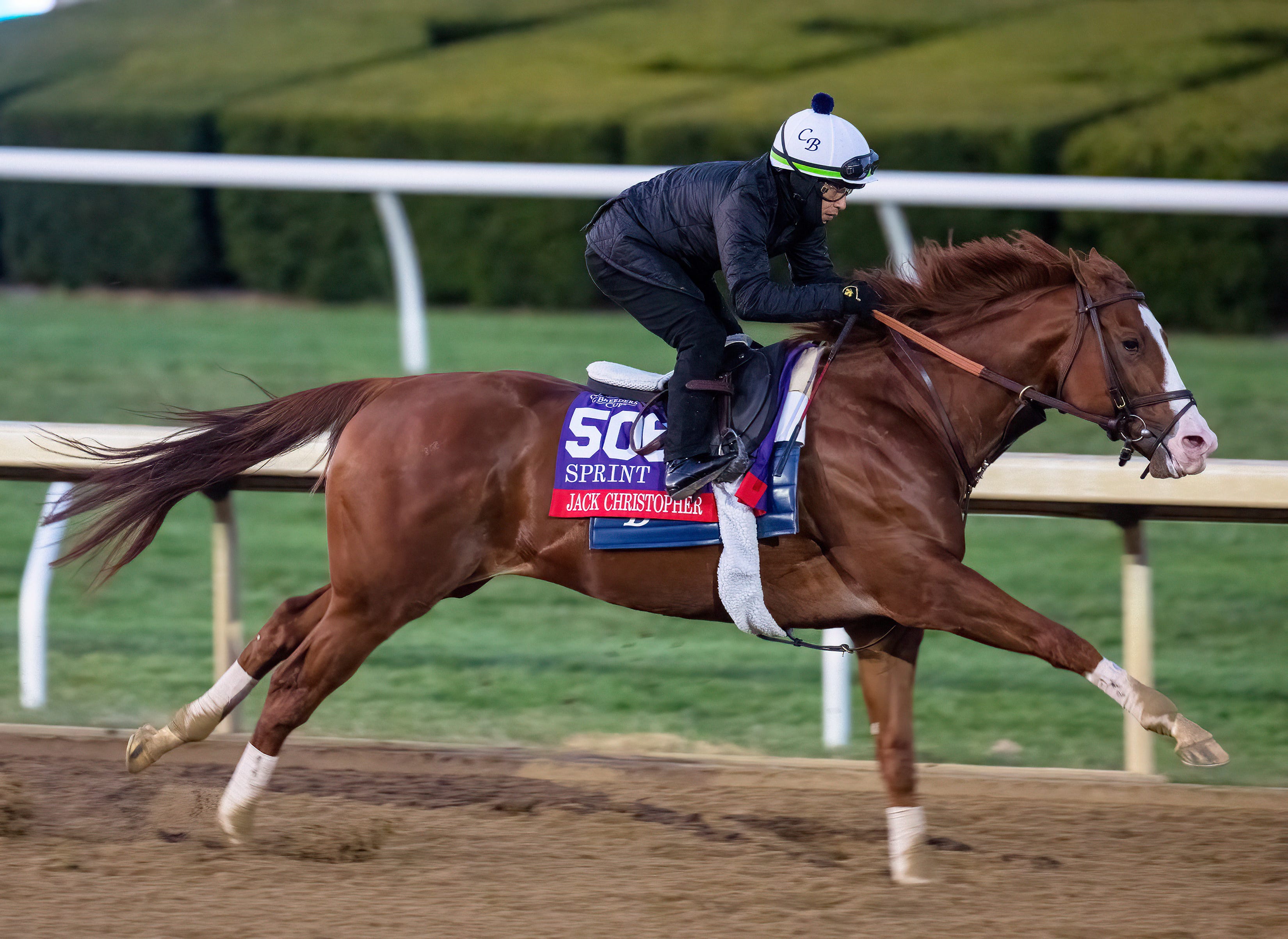 Jack Christopher not entered for Breeders' Cup Sprint