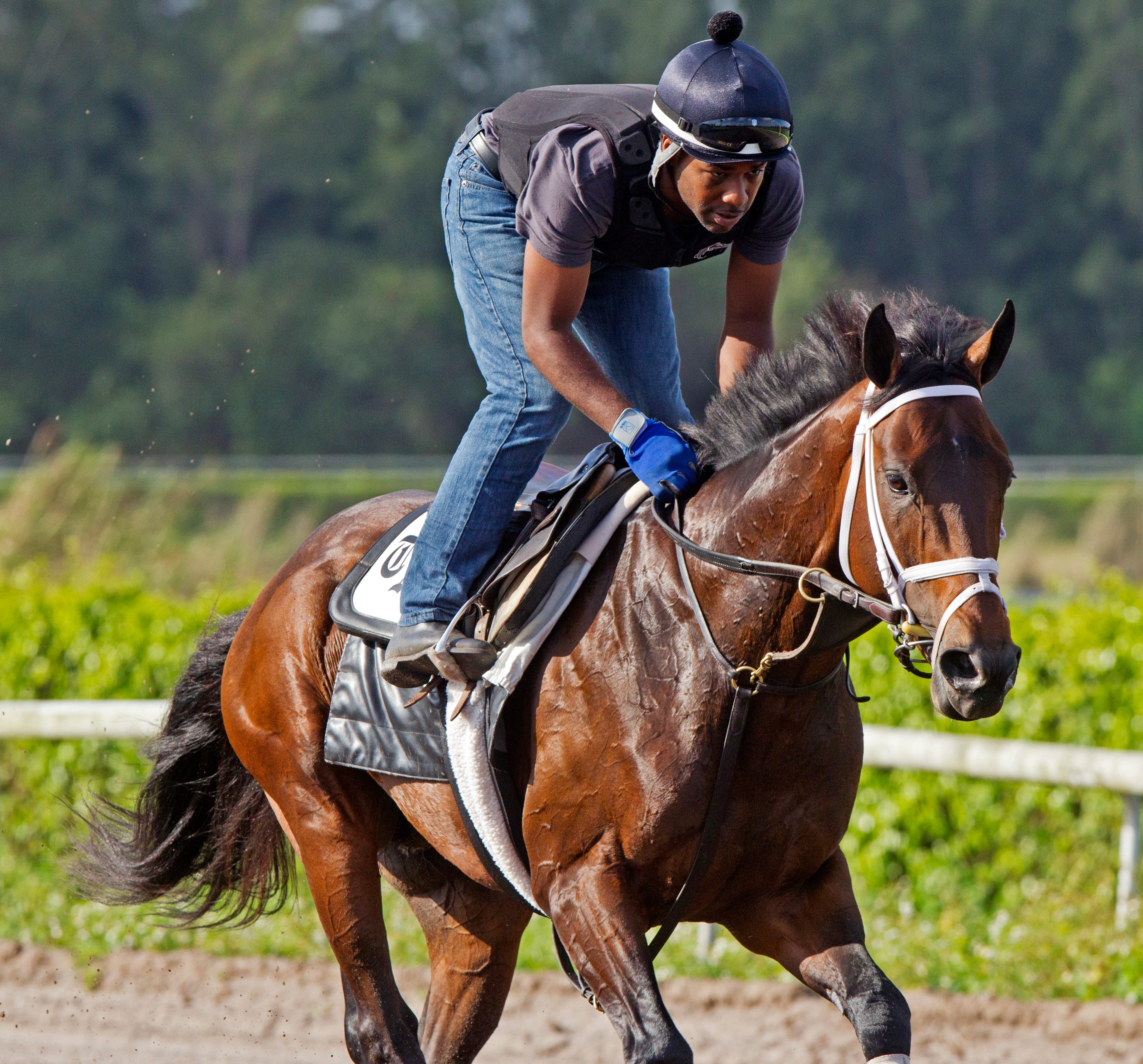 Jack Milton among seven in Maker's 46 Mile